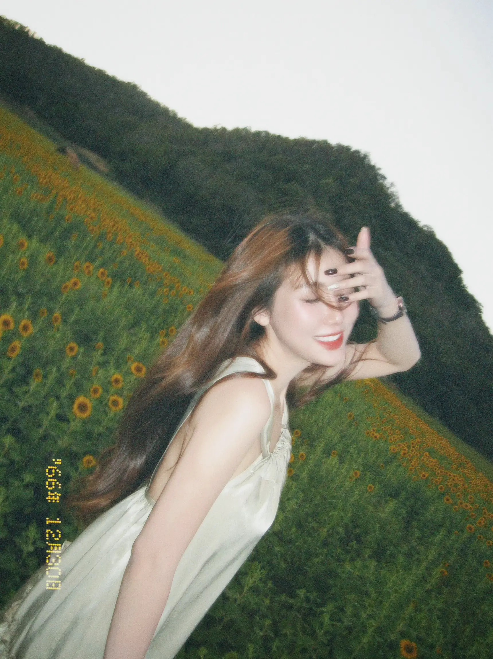 SUNFLOWER 🌻 | แกลเลอรีที่โพสต์โดย J'utha JT | Lemon8