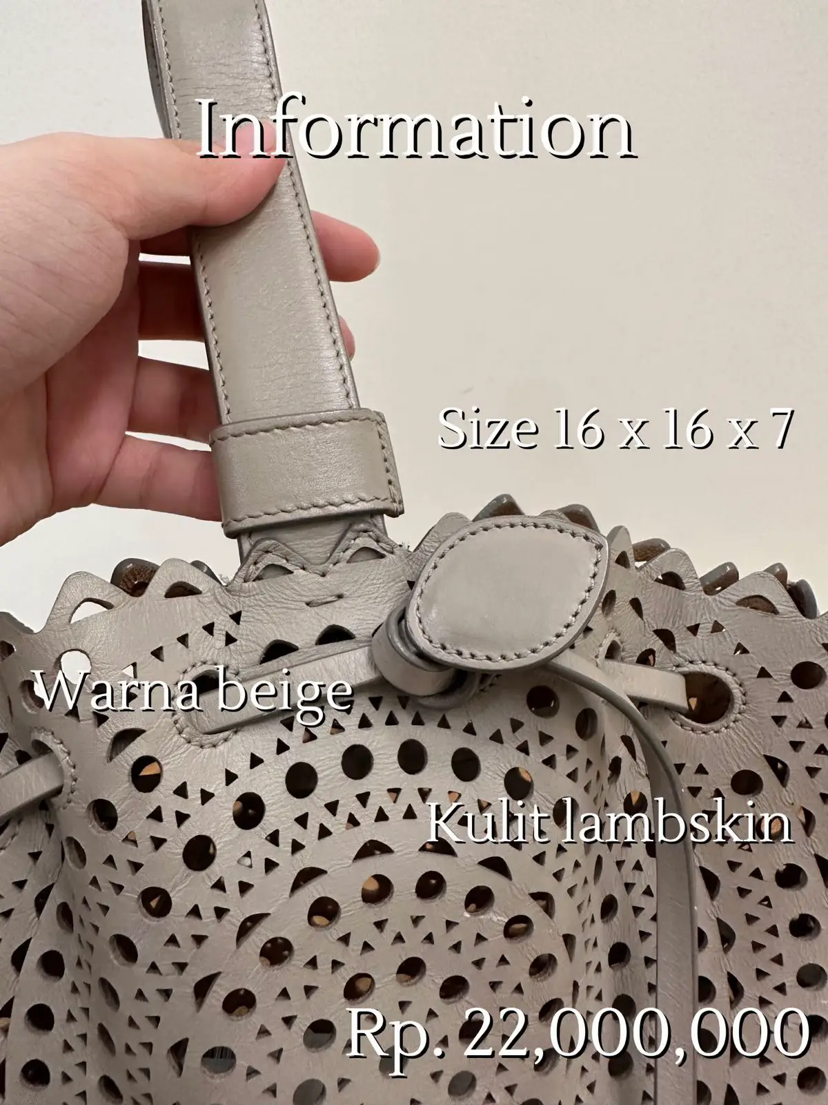 Reviewing Alaïa Rose Mary bag😋 | Galeri diposting oleh Nanalit | Lemon8