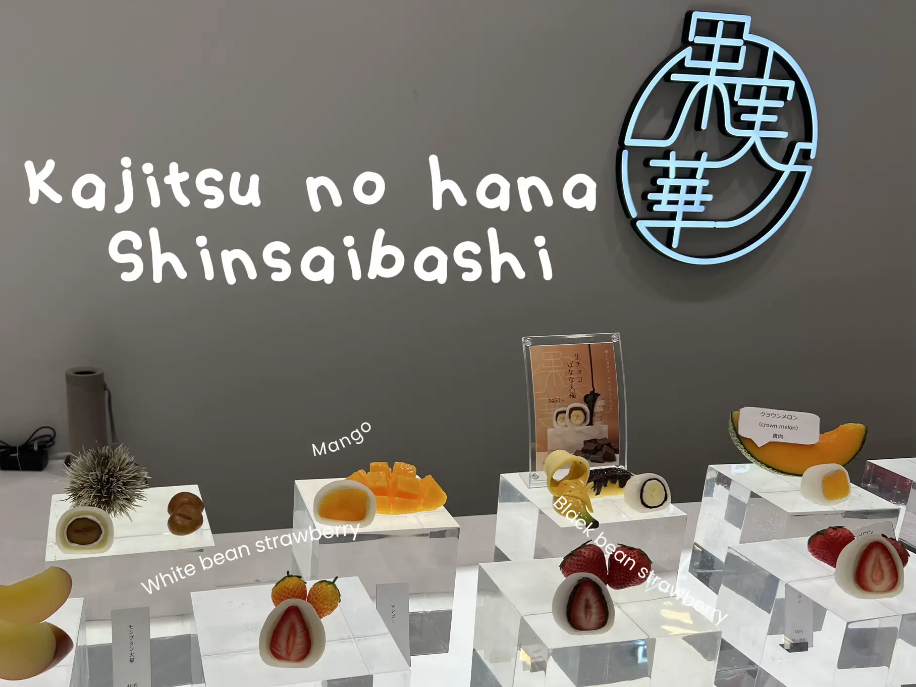Kajitsu No Hana - การค้นหาใน Lemon8