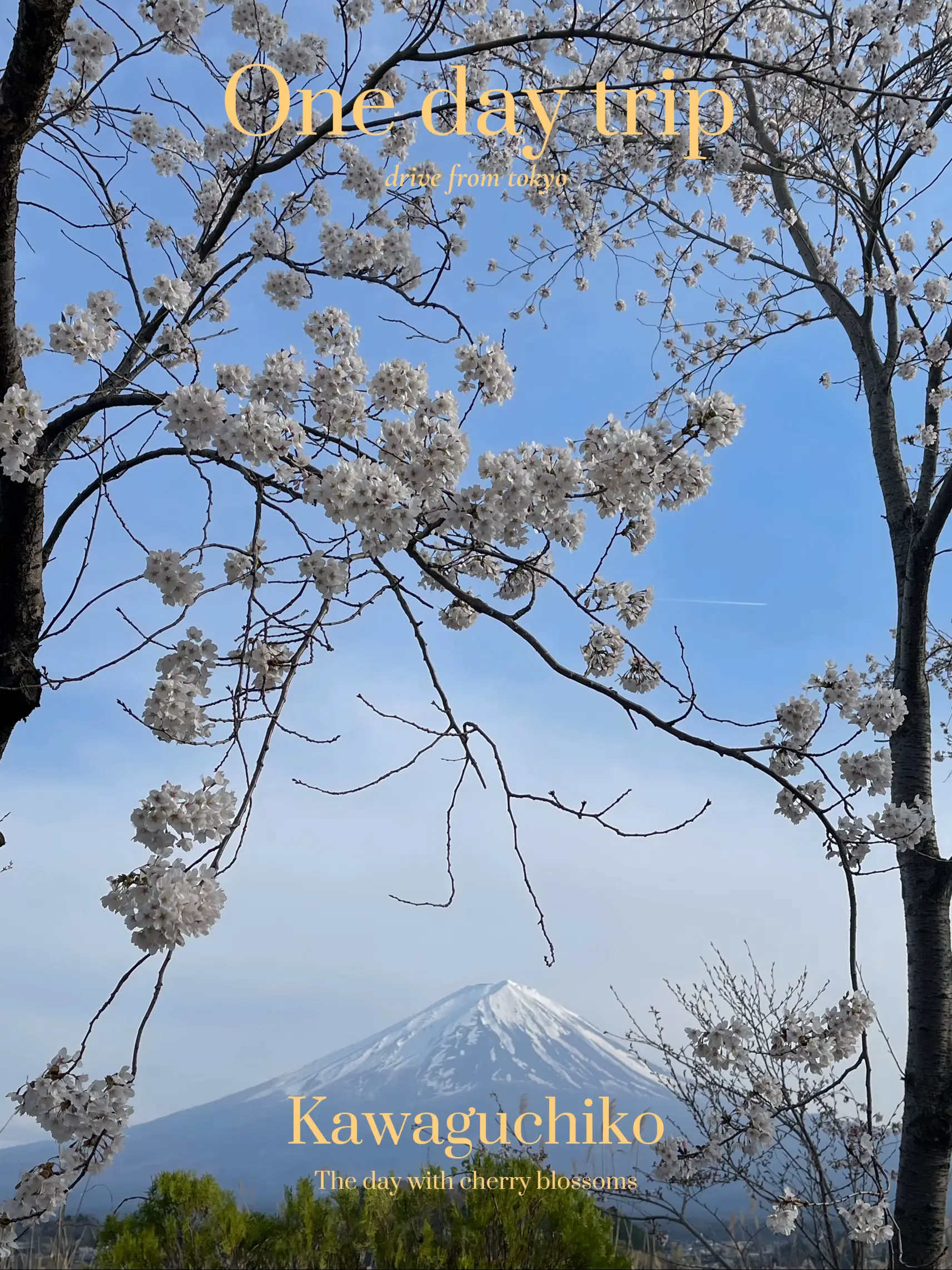 𝟏 𝐃𝐚𝐲 𝐑𝐨𝐚𝐝 𝐓𝐫𝐢𝐩 • 𝐊𝐚𝐰𝐚𝐠𝐮𝐜𝐡𝐢𝐤𝐨 • แชร์วิธีเช่ารถ 🚐 | แกลเลอรีที่โพสต์โดย รีวิวไปเรื่อย 💕 | Lemon8