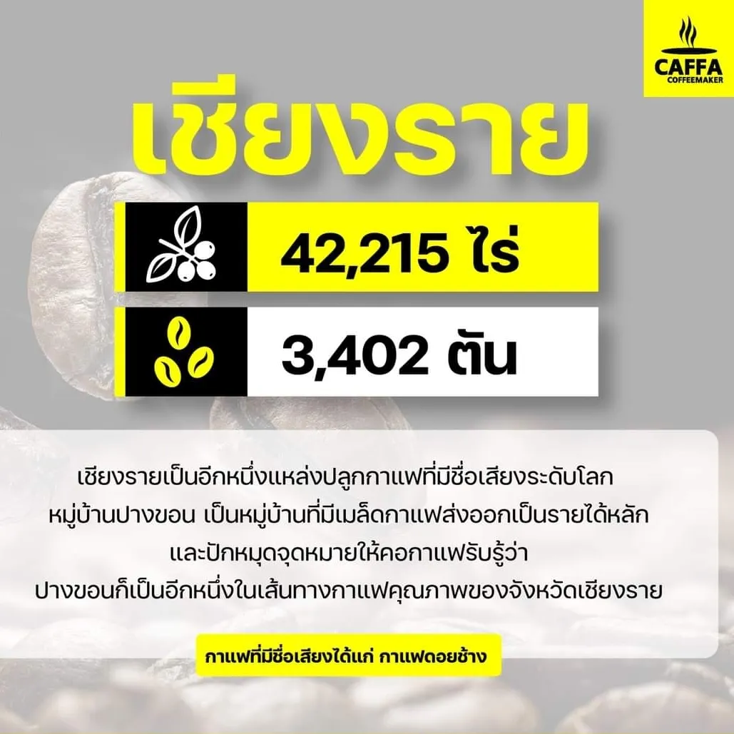 "5 จังหวัดที่ปลูกกาแฟลำดับต้น ๆ ของเมืองไทย" | แกลเลอรีที่โพสต์โดย CAFFA | Lemon8