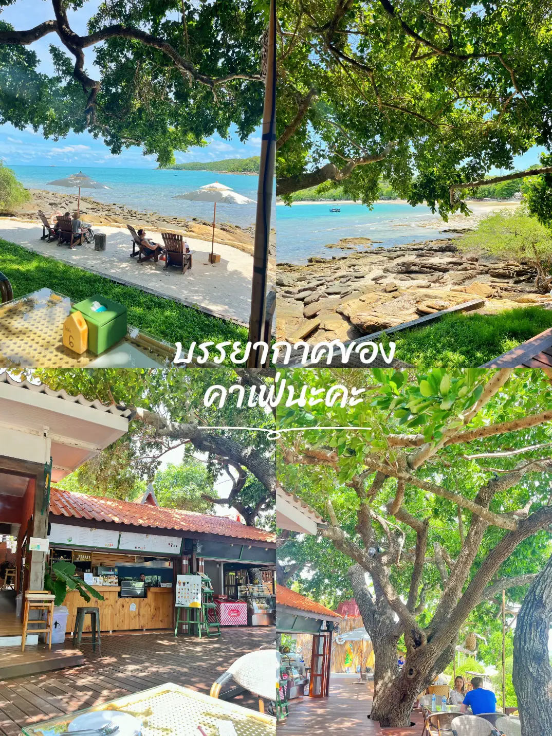 V cafe ถ่ายรูปไม่ซ้ำใคร ที่คาเฟ่เกาะเสม็ด (มุมถ่ายรูปเยอะมาก) | แกลเลอ ...