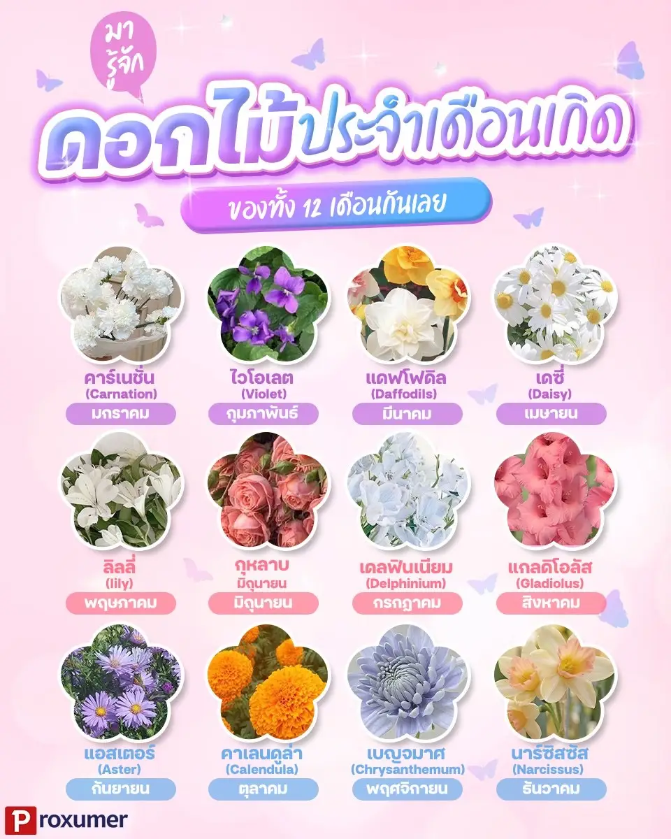 Know the birth menstrual flowers of all 12 months. 🌷💐 | Gallery posted by Proxumer | Lemon8