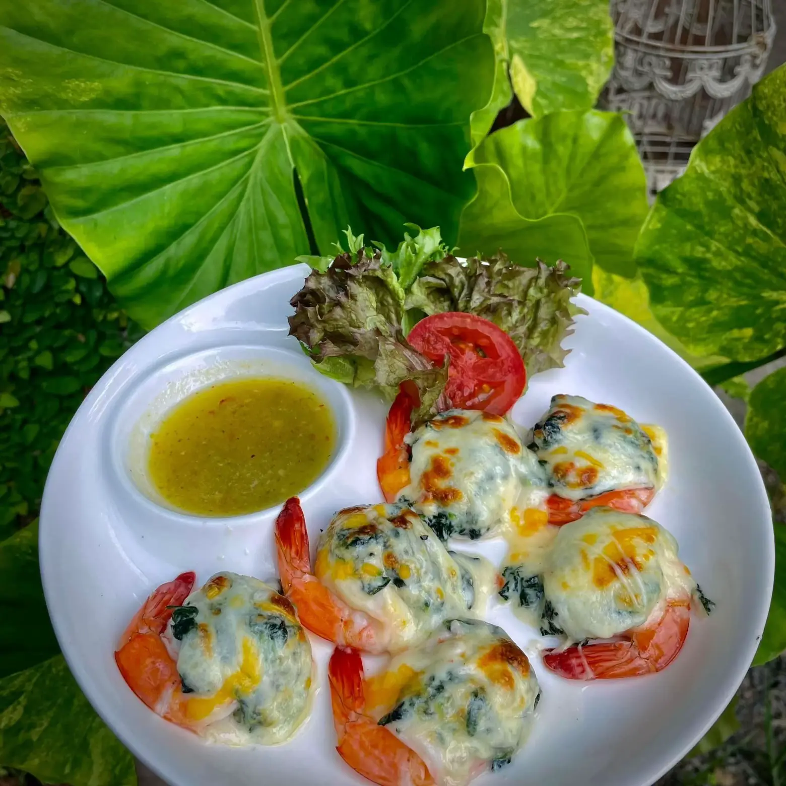 คาเฟ่ลพบุรี😍🥰 | แกลเลอรีที่โพสต์โดย the melon cafe | Lemon8