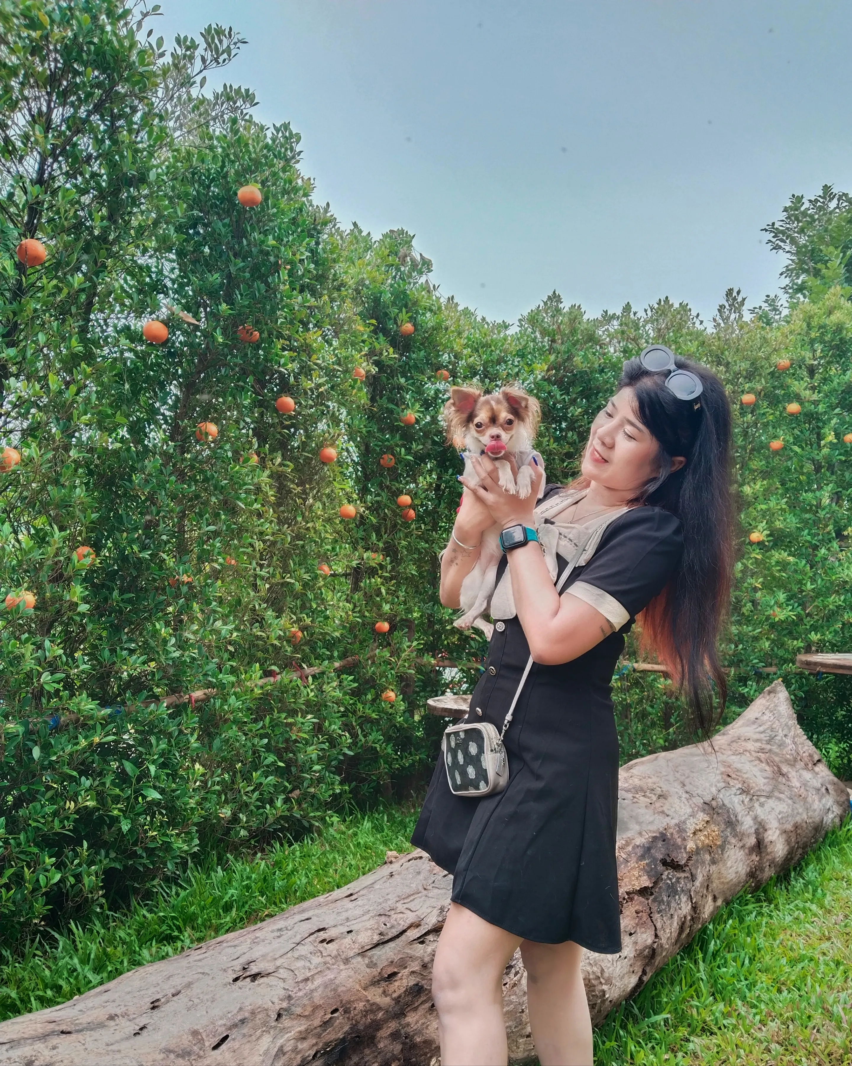 🎌คาเฟ่น่ารักฟีลJapan🎌 | แกลเลอรีที่โพสต์โดย PSP Family🧸 | Lemon8