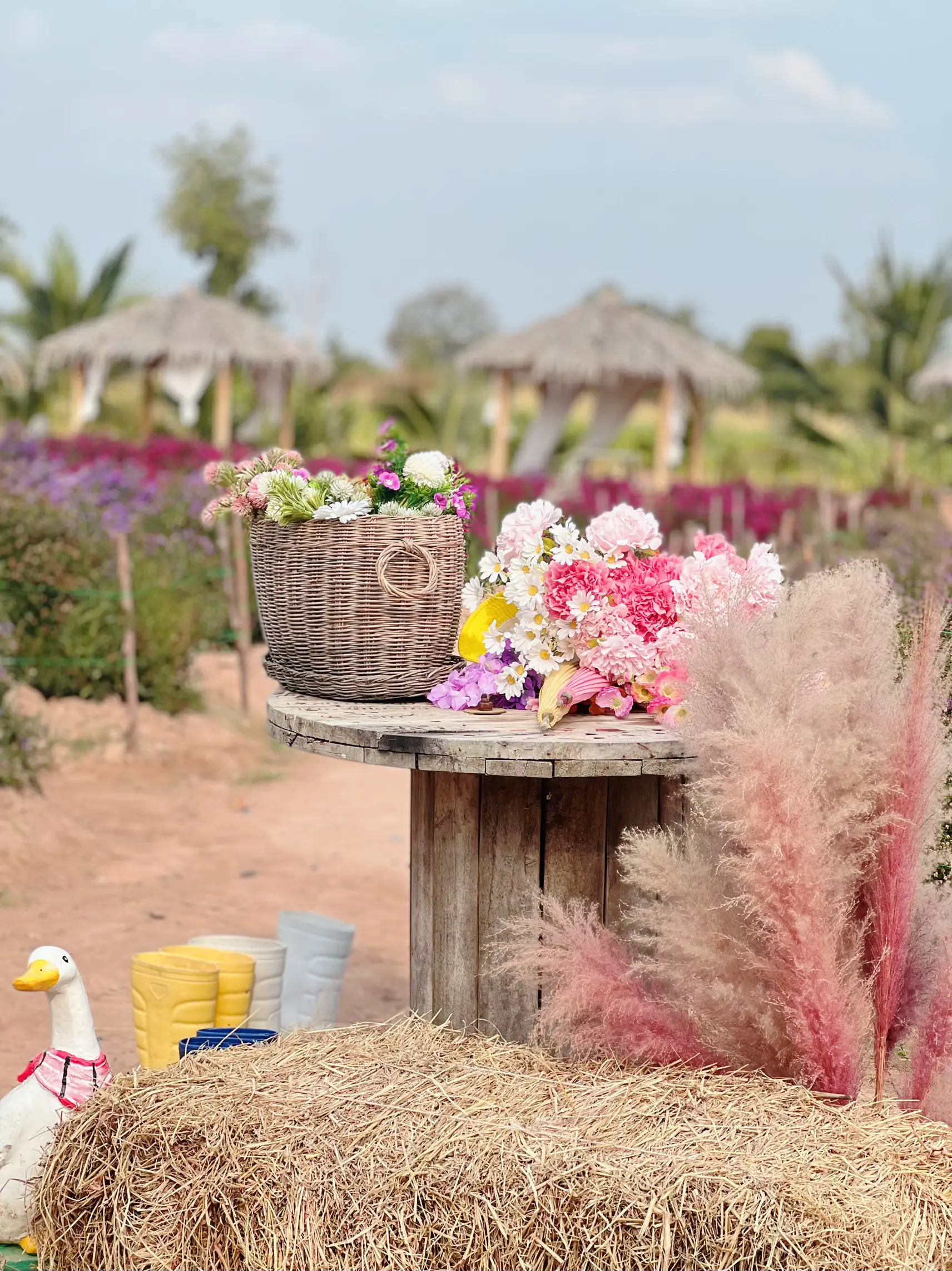 Hana Cafe’ | แกลเลอรีที่โพสต์โดย Ars Tom | Lemon8