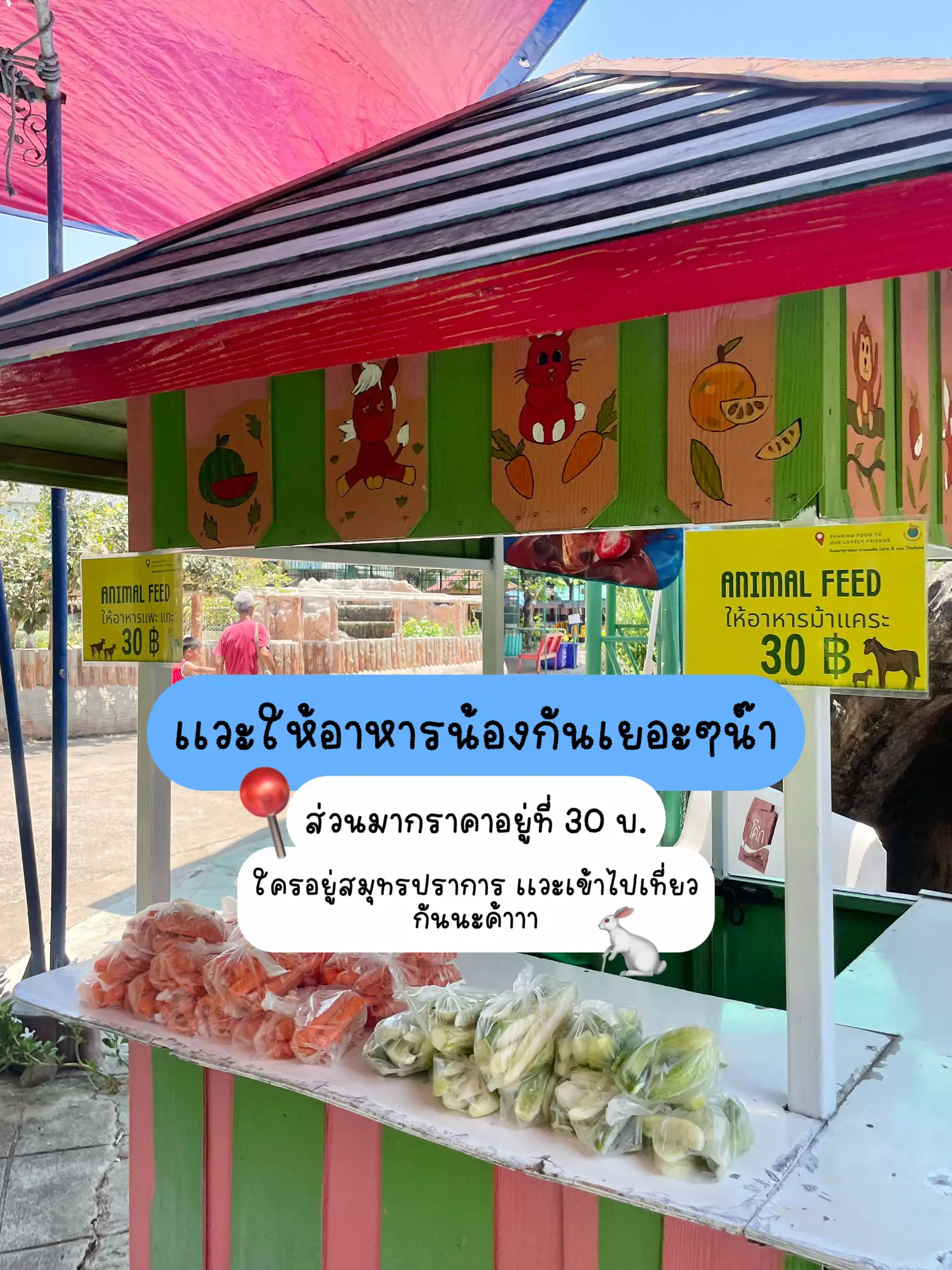 เที่ยวฟาร์มจระเข้ฉบับปี 2567 ล่าสุด | แกลเลอรีที่โพสต์โดย จารุภัทร สีลาโส | Lemon8