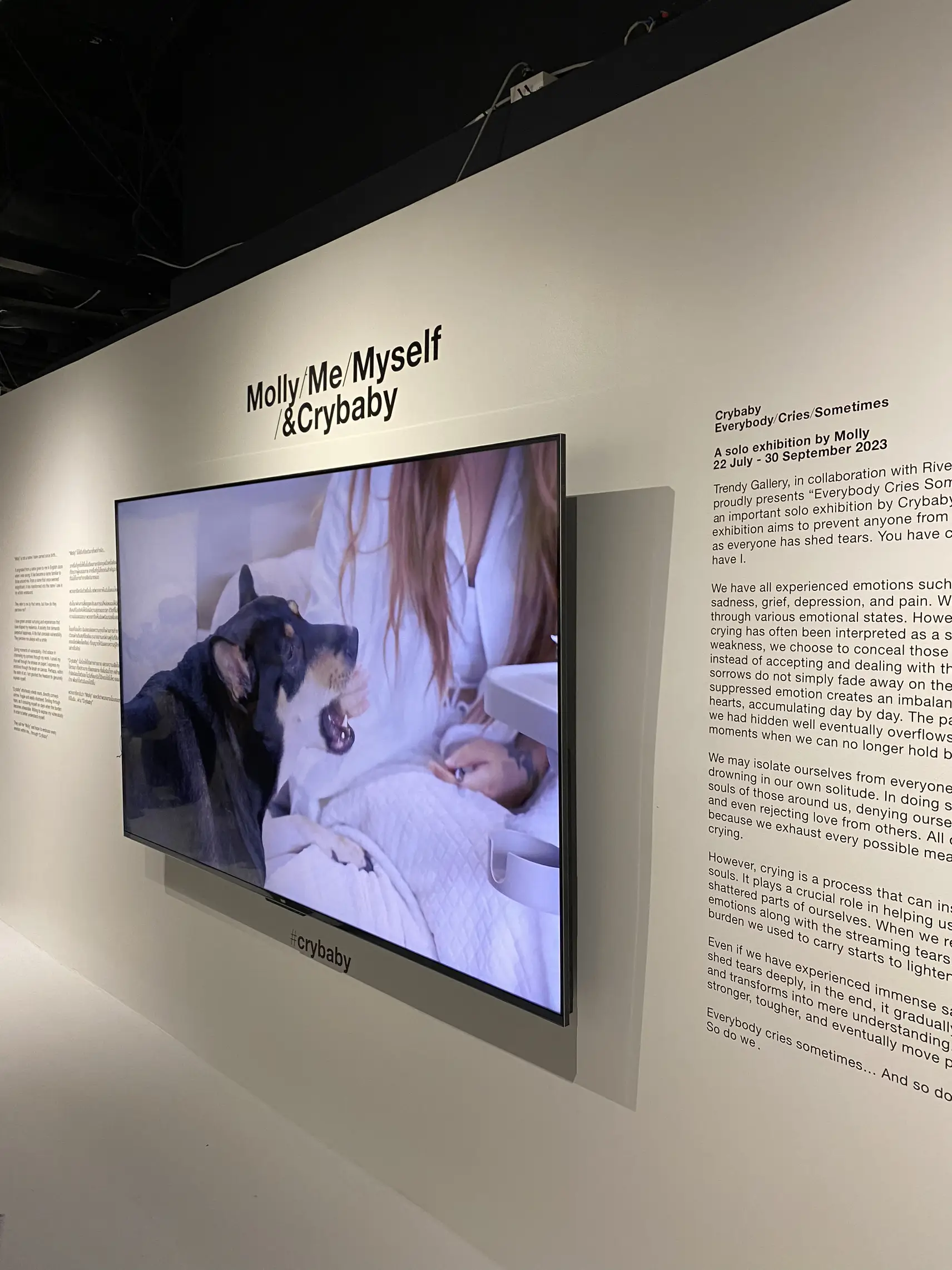 Cry baby molly | แกลเลอรีที่โพสต์โดย 𝐜𝐚𝐫𝐚🧸 | Lemon8