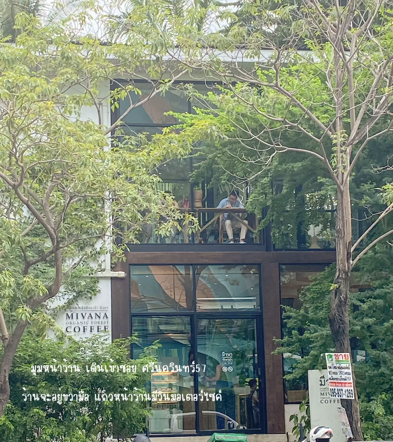 MiVana Coffee Flagship Store เที่ยวคนเดียวไม่มีรถส่วนตั | แกลเลอรีที่ ...