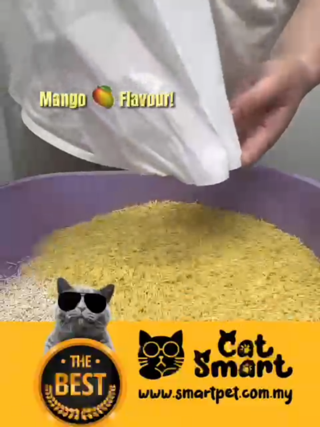 SmartCat Cat Litter experiment | Video diterbitkan oleh SmartCat | Lemon8
