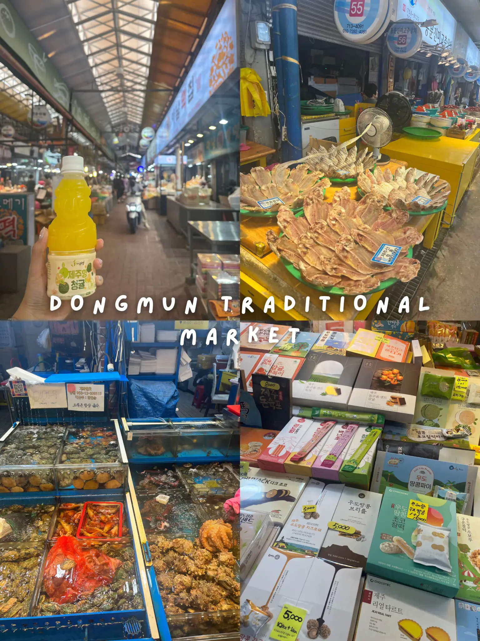 save my 2D2N Jeju itinerary! ️ | แกลเลอรีที่โพสต์โดย hui shan | Lemon8