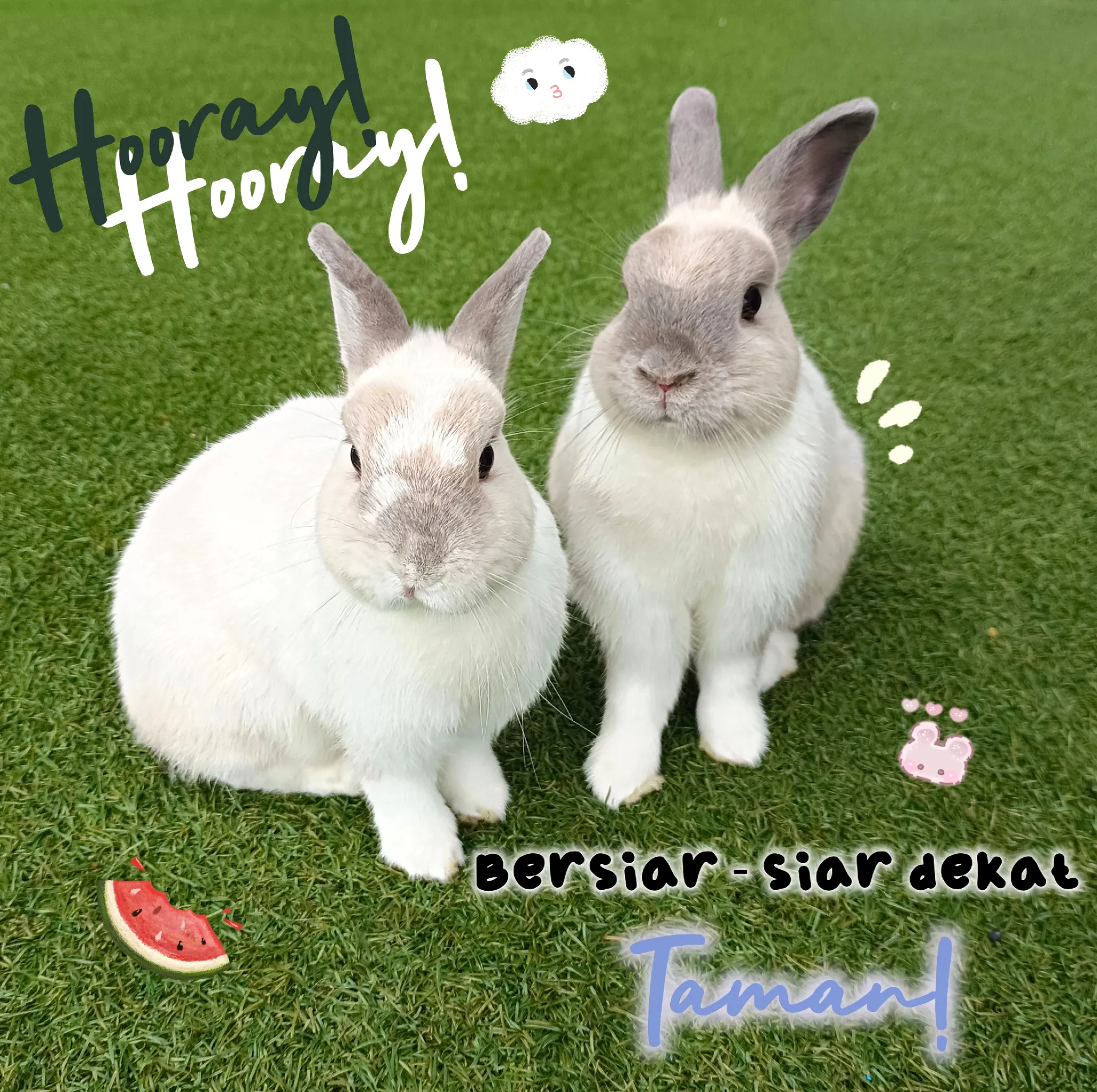 Sunday chillin dekat Taman ! 🪵 | Galeri disiarkan oleh Grace Ni | Lemon8