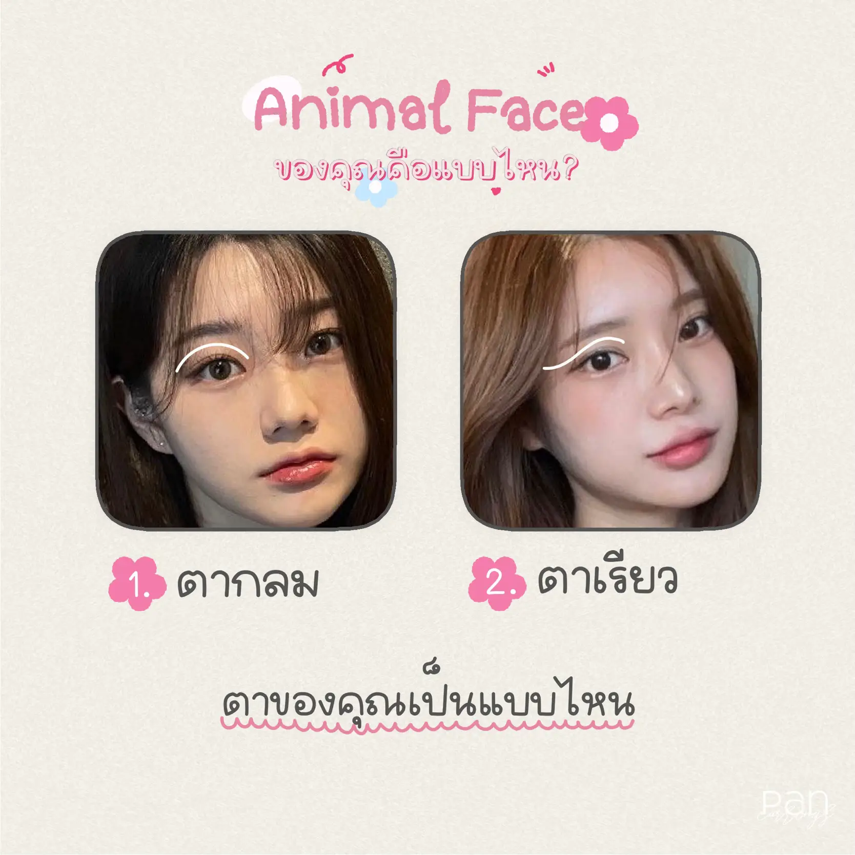 🧐 พาเช็ค Animal Face Type เทรนด์ที่กำลังมาในเกาหลี | แกลเลอรีที่โพสต์โดย Proxumer | Lemon8