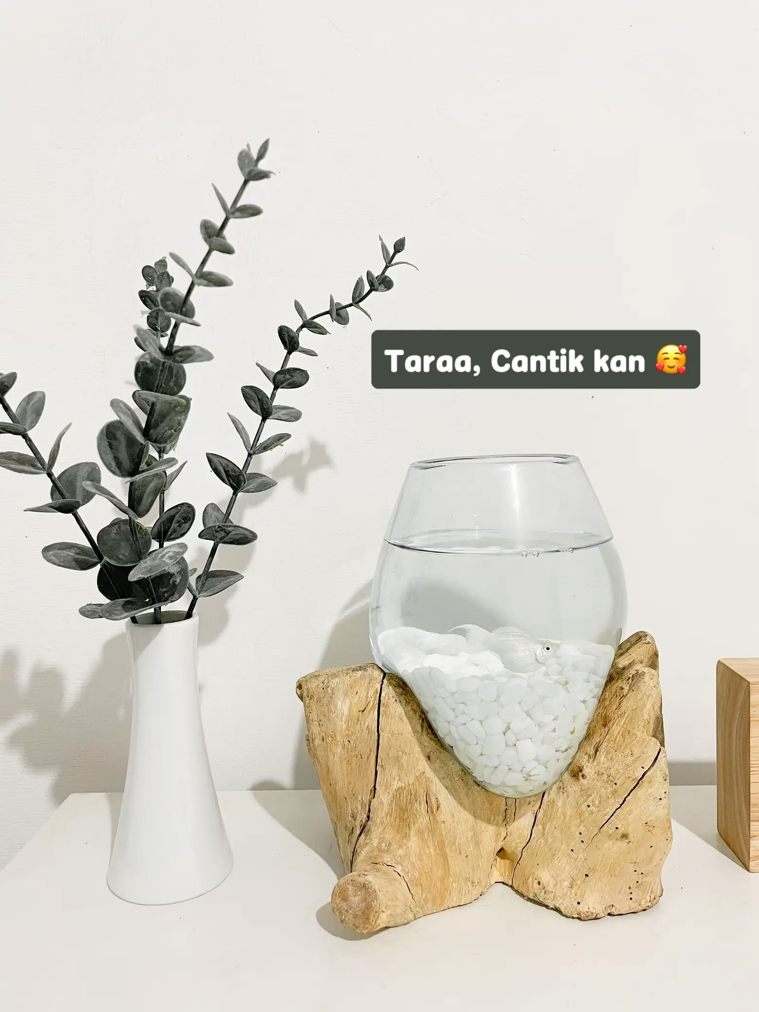 DEKORASI KAMAR PAKAI MINI AQUARIUM AESTHETIC 🐟 | แกลเลอรีที่โพสต์โดย ...