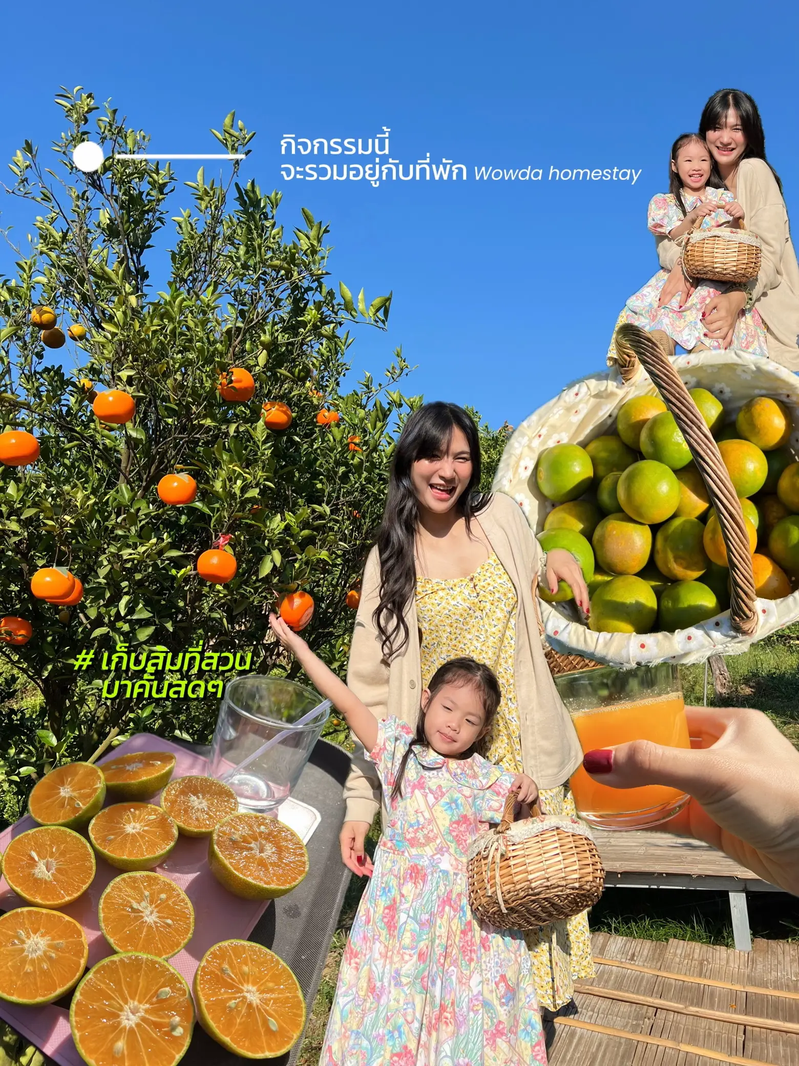 แจกแพลนที่เที่ยวเชียงใหม่ | แกลเลอรีที่โพสต์โดย Janelaya | Lemon8