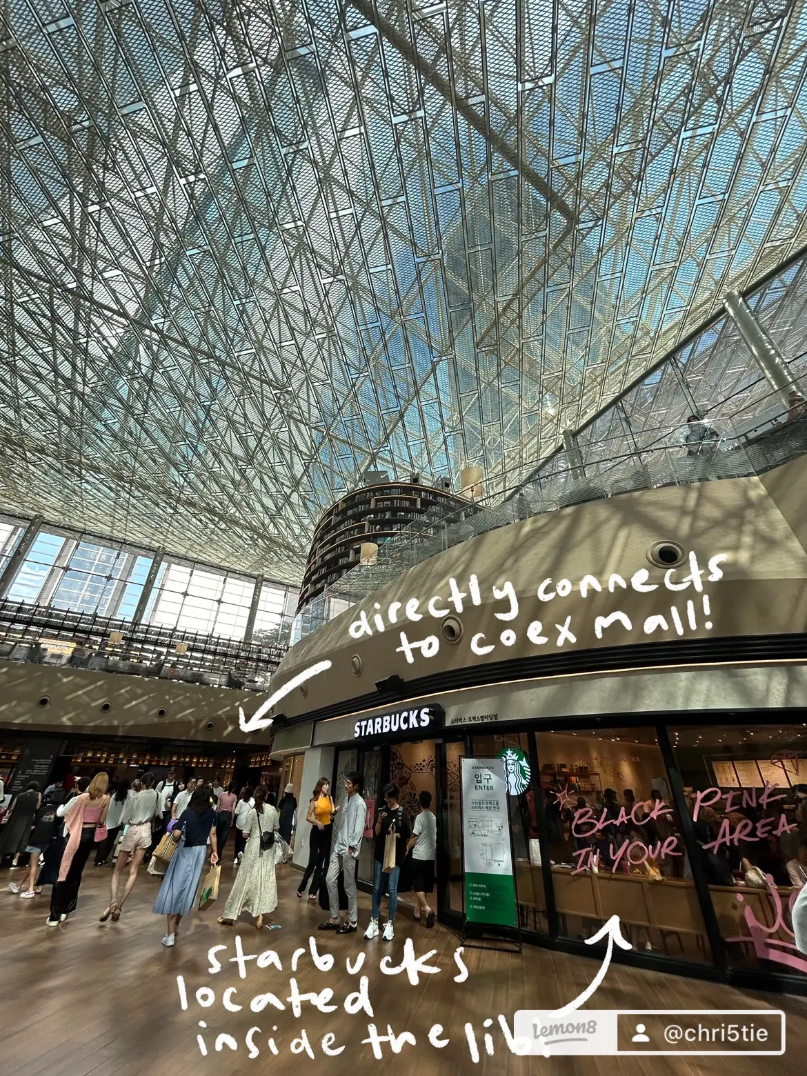 starfield library korea - Lemon8 Search