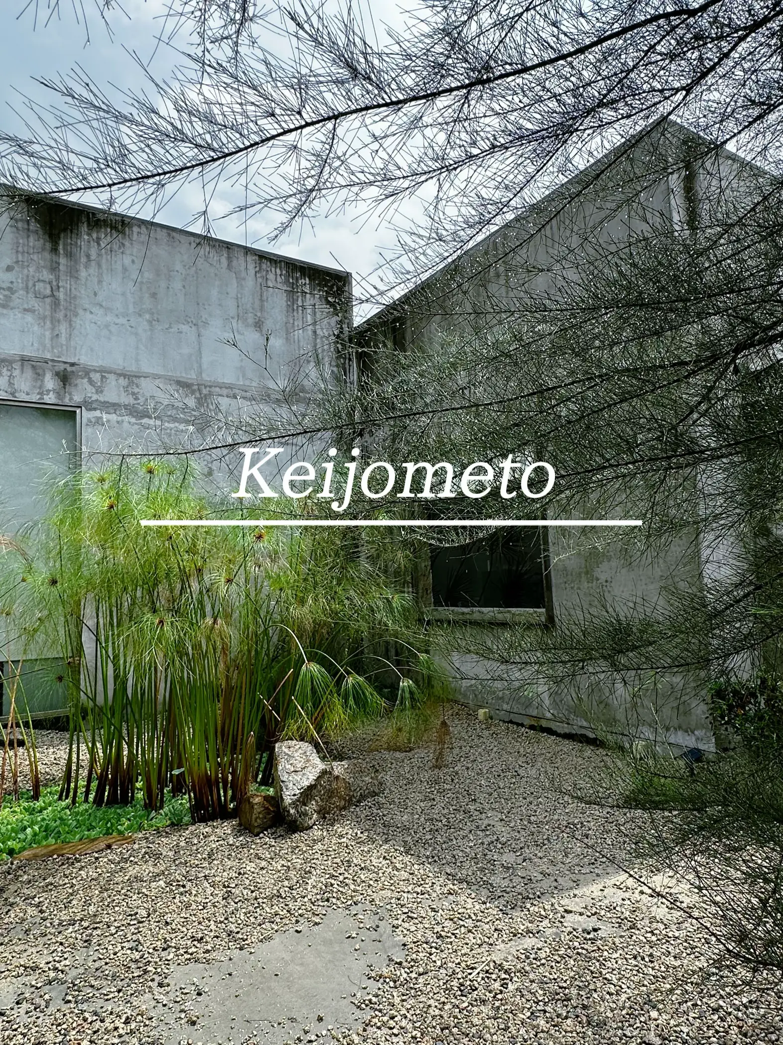 🇲🇾 Cafe: Keijometo | Gallery posted by SmileWithFood | Lemon8