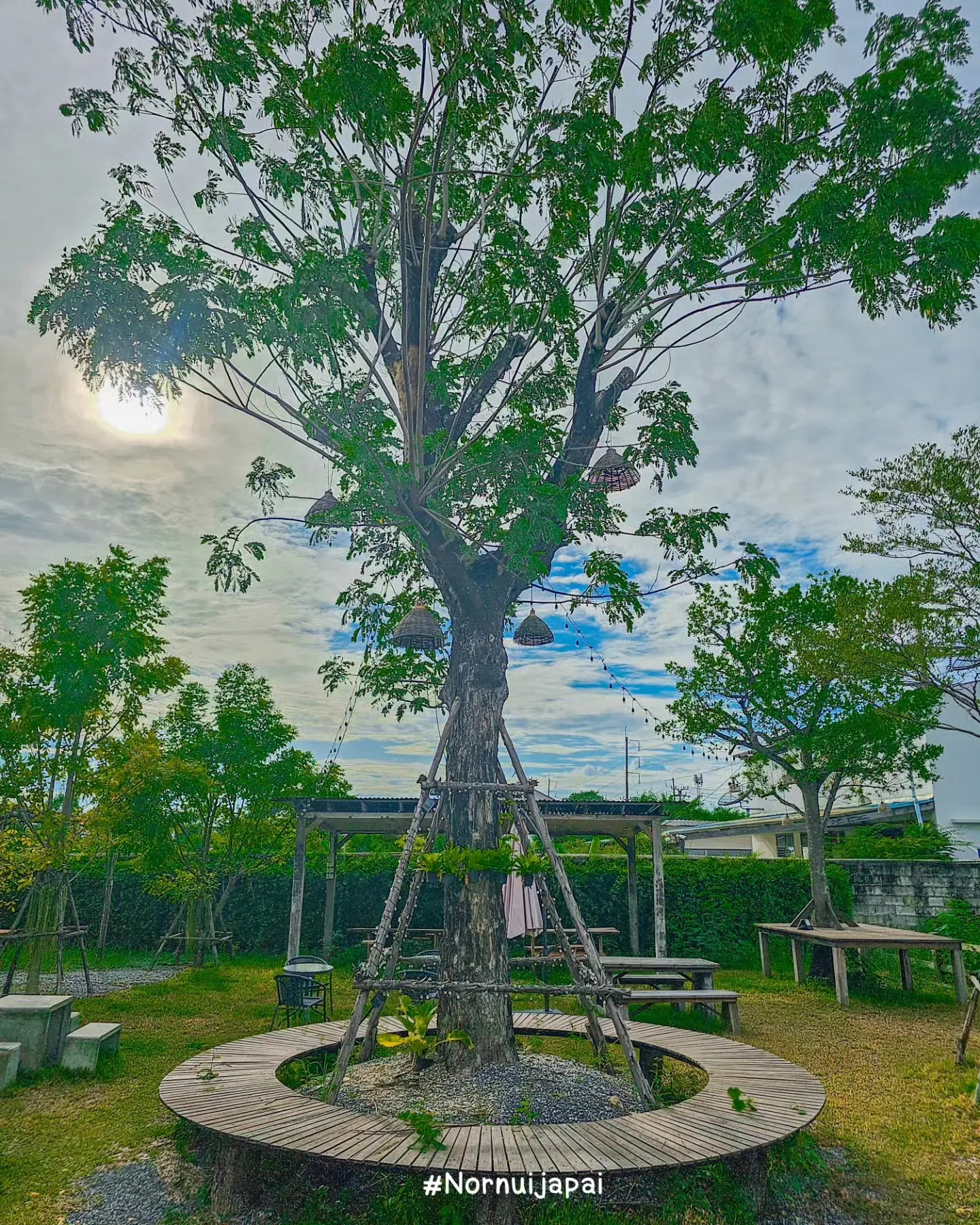 คาเฟ่เปิดใหม่ย่านลาดกระบัง | แกลเลอรีที่โพสต์โดย noonui | Lemon8