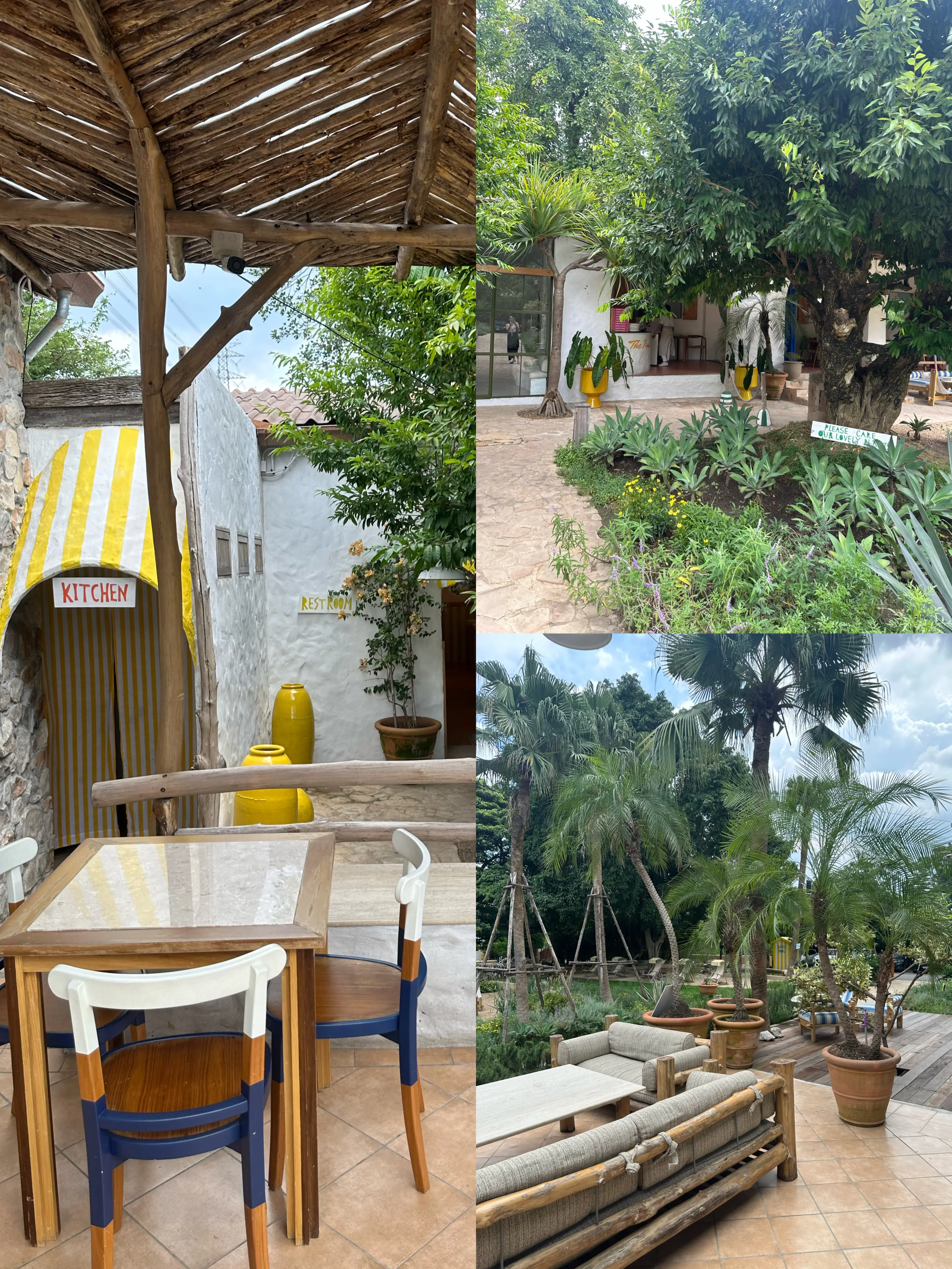 🍋 The reise ประชาชื่น ร้านอาหารสไตล์อิตาลี 🍋 | แกลเลอรีที่โพสต์โดย ...