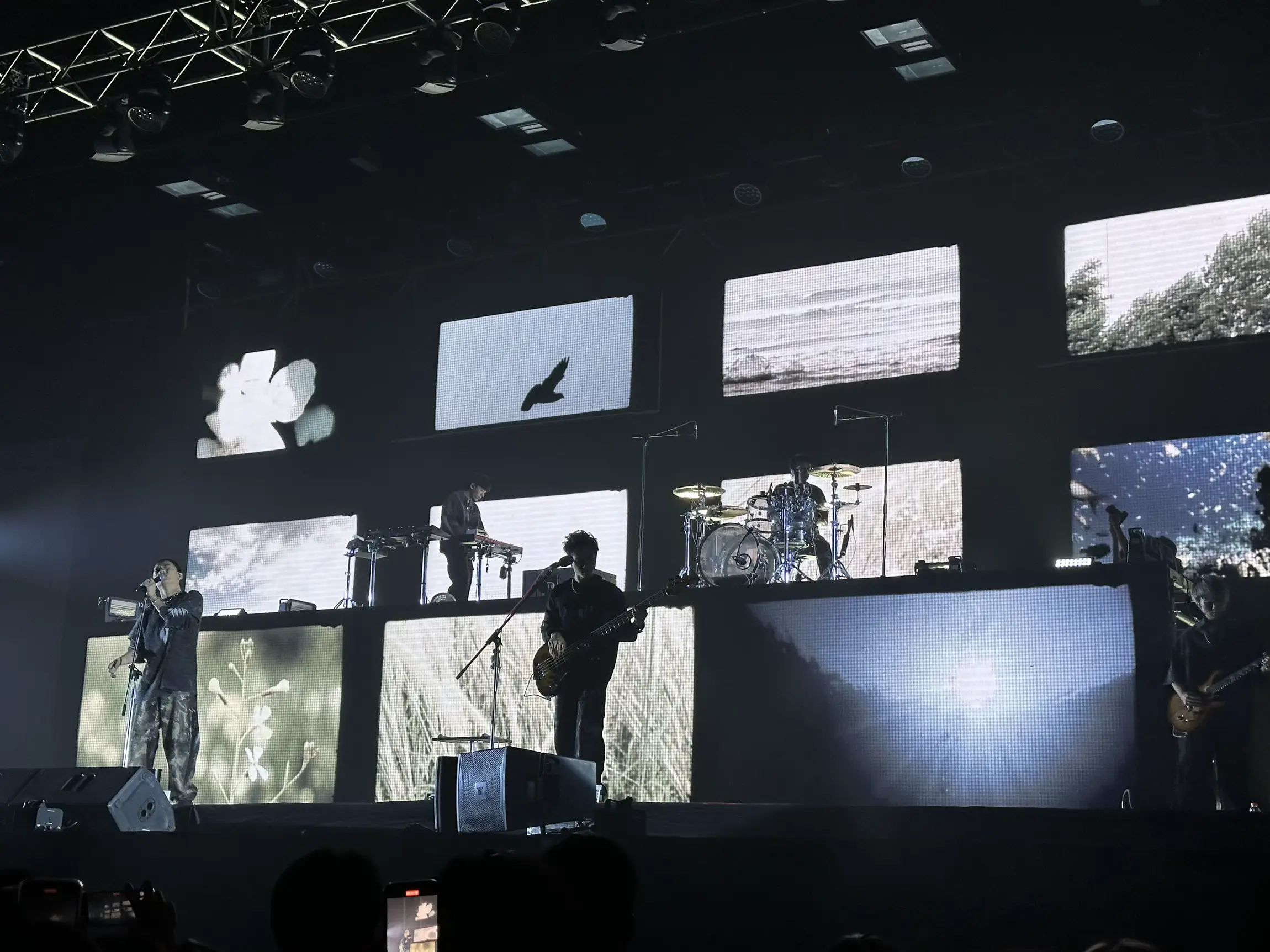 Tree Man Down @ Khon Kaen | แกลเลอรีที่โพสต์โดย เฉียนเฉียน | Lemon8