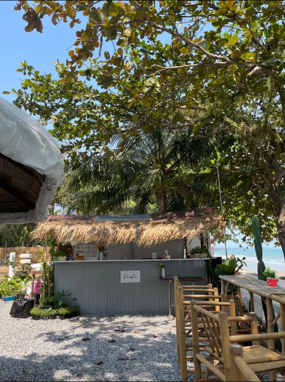 pearry p cafe | แกลเลอรีที่โพสต์โดย Po club | Lemon8