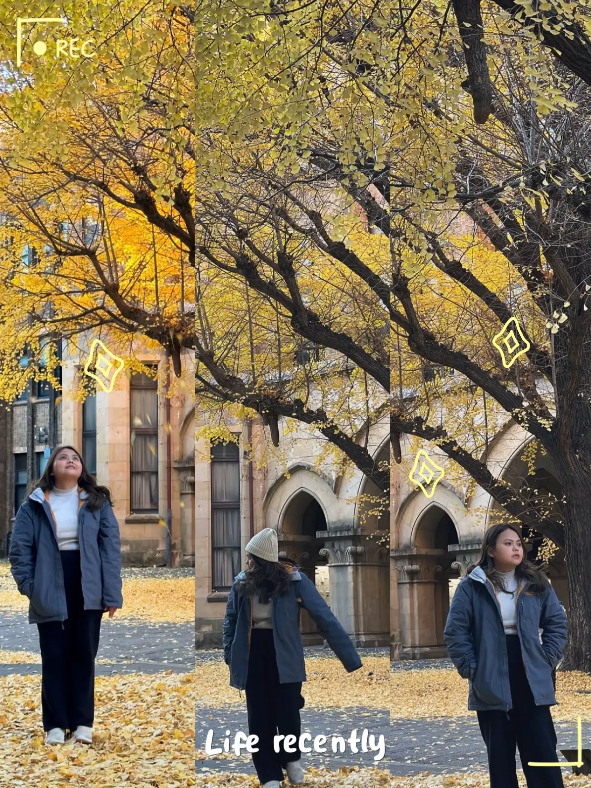 ธันวายังมีใบไม้เหลืองที่โตเกียว | แกลเลอรีที่โพสต์โดย Plathong_ch | Lemon8