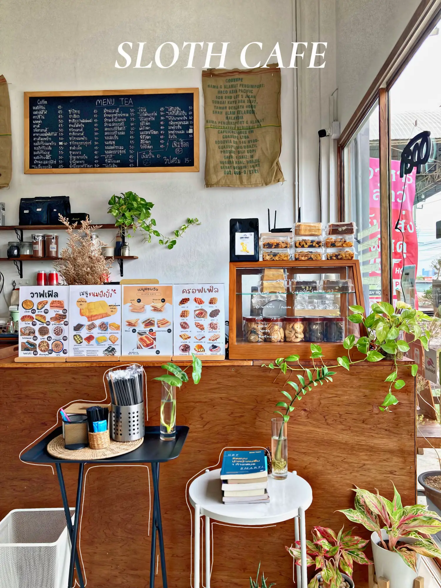 SLOTH CAFE | แกลเลอรีที่โพสต์โดย Sloth cafe | Lemon8