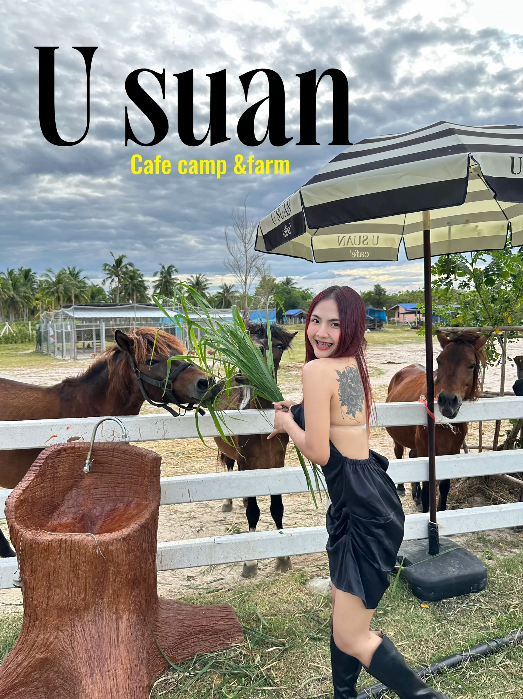 U suan cafe camp & farm | แกลเลอรีที่โพสต์โดย 𝐌𝐢𝐞𝐟𝐟 🎄🩷 | Lemon8