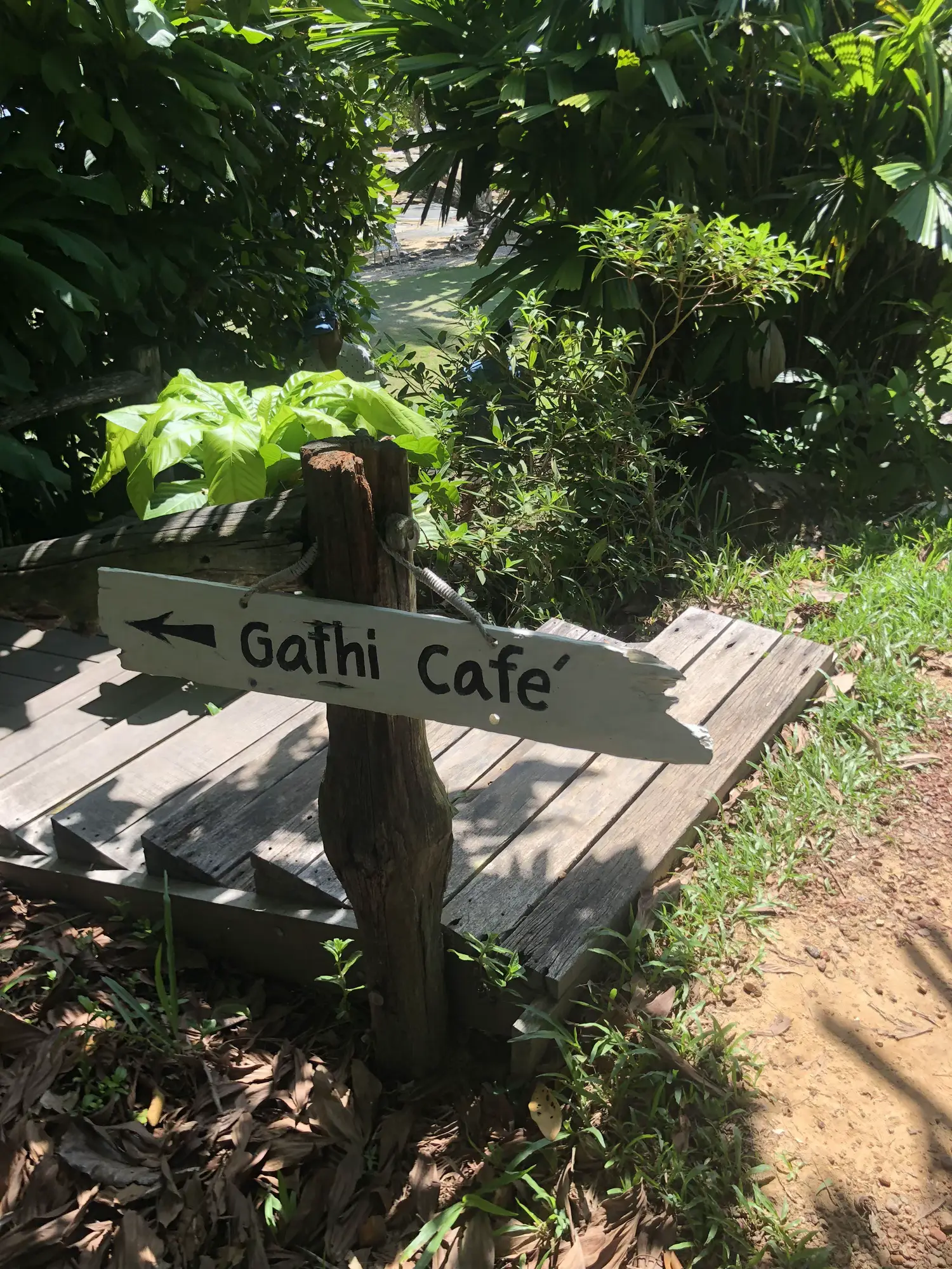 พิกัดคาเฟ่เกาะกูด แถมวิวหลักล้าน 💖 | แกลเลอรีที่โพสต์โดย Today's diary ...