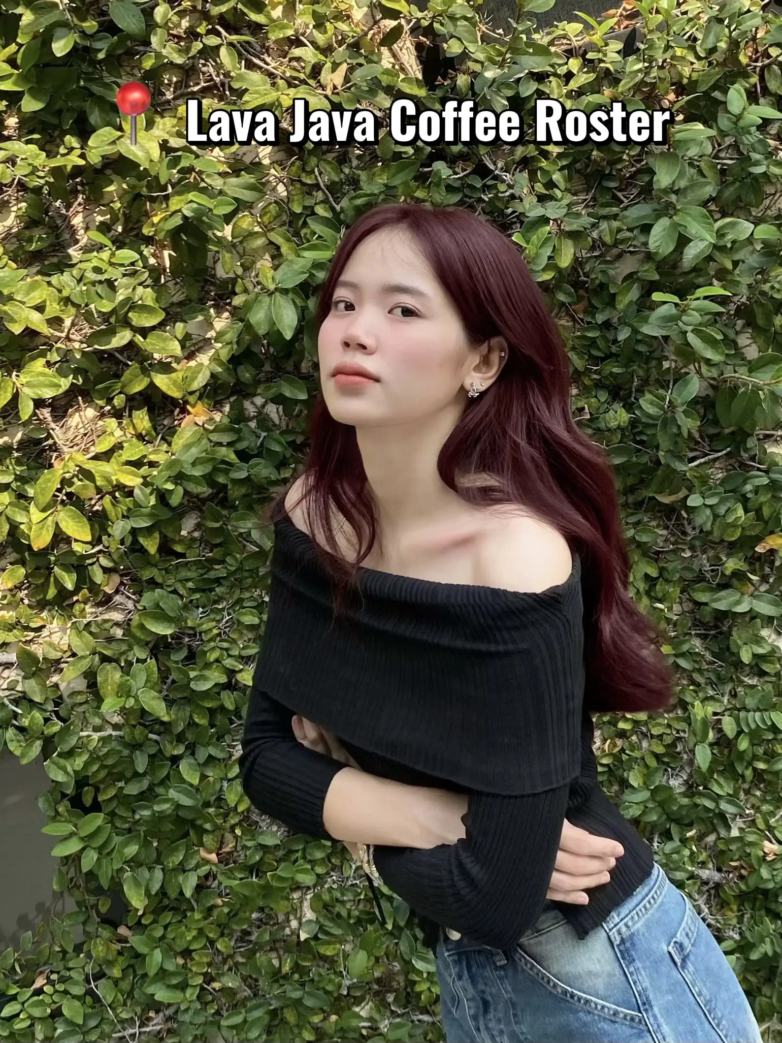 Lava Java Coffee Roster🦢 | แกลเลอรีที่โพสต์โดย ปริม. | Lemon8