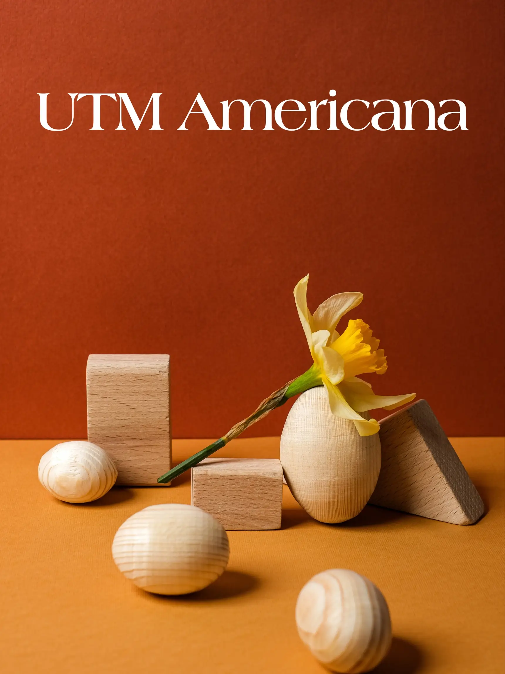 💫 NHỮNG FONT CHỮ CÂN MỌI THIẾT KẾ | Bộ sưu tập do MinTra đăng | Lemon8