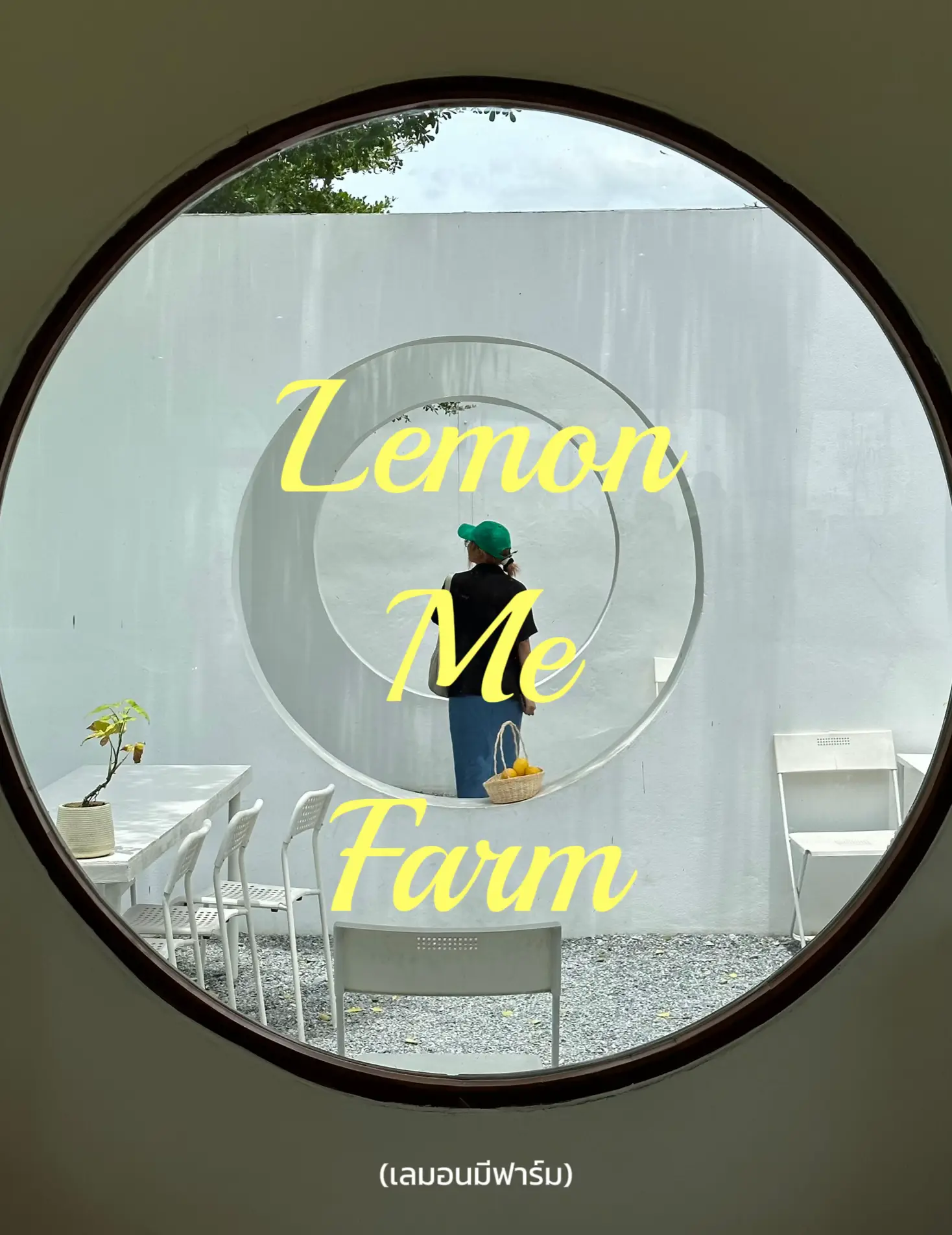 Lemon me farm คาเฟ่ใกล้กรุงเทพฯ จ.นครปฐม | แกลเลอรีที่โพสต์โดย ...