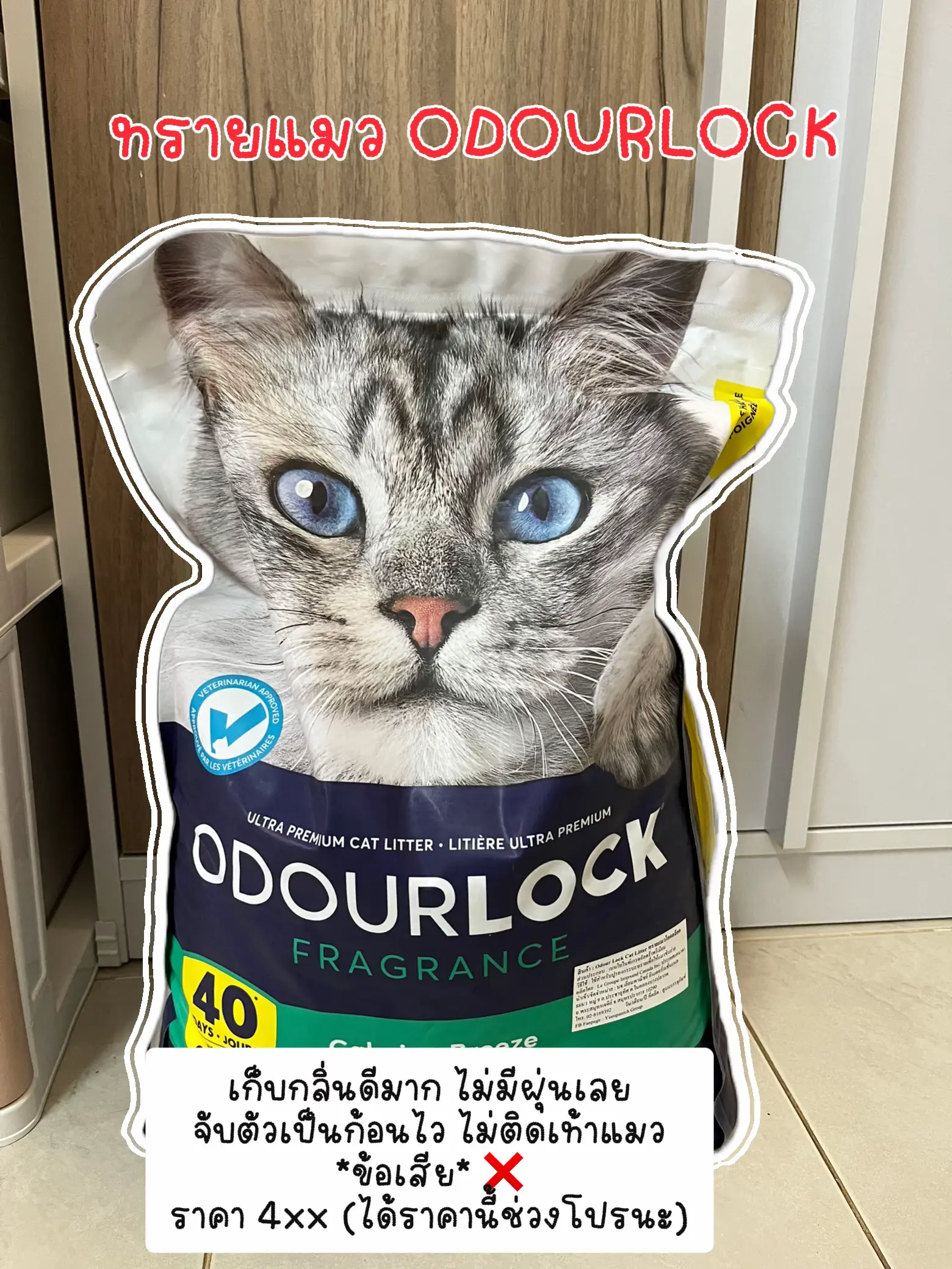 รีวิวทรายแมว ep.2 | แกลเลอรีที่โพสต์โดย Yves.tt | Lemon8