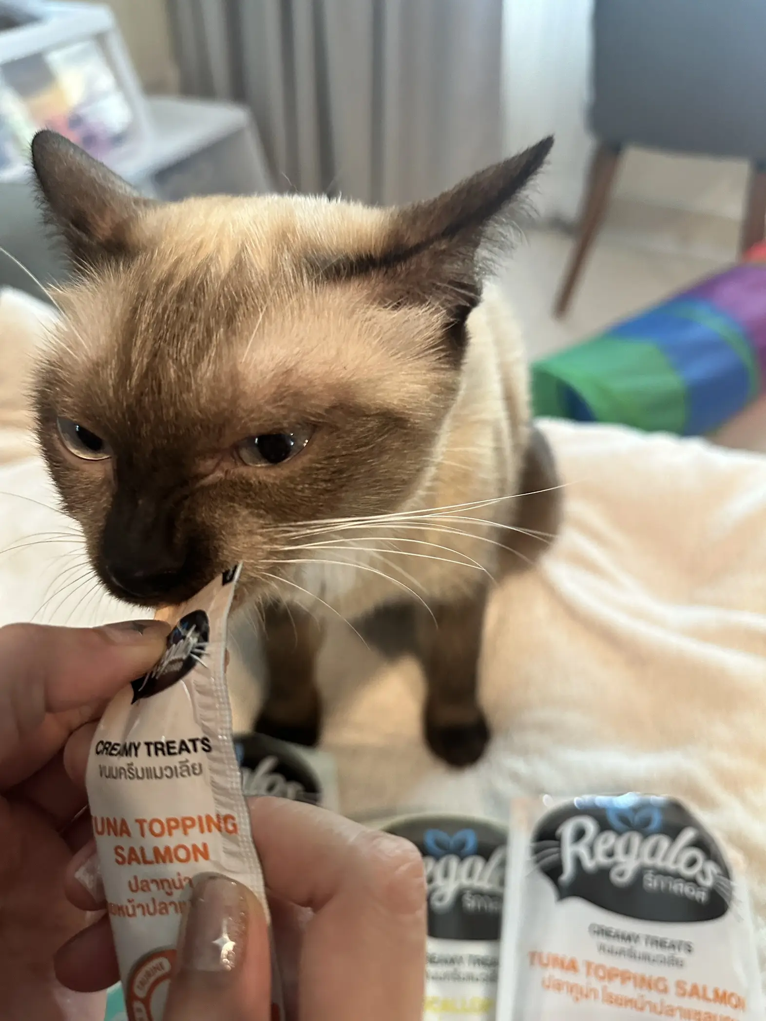 ขนมแมวเลียliebao - การค้นหาใน Lemon8