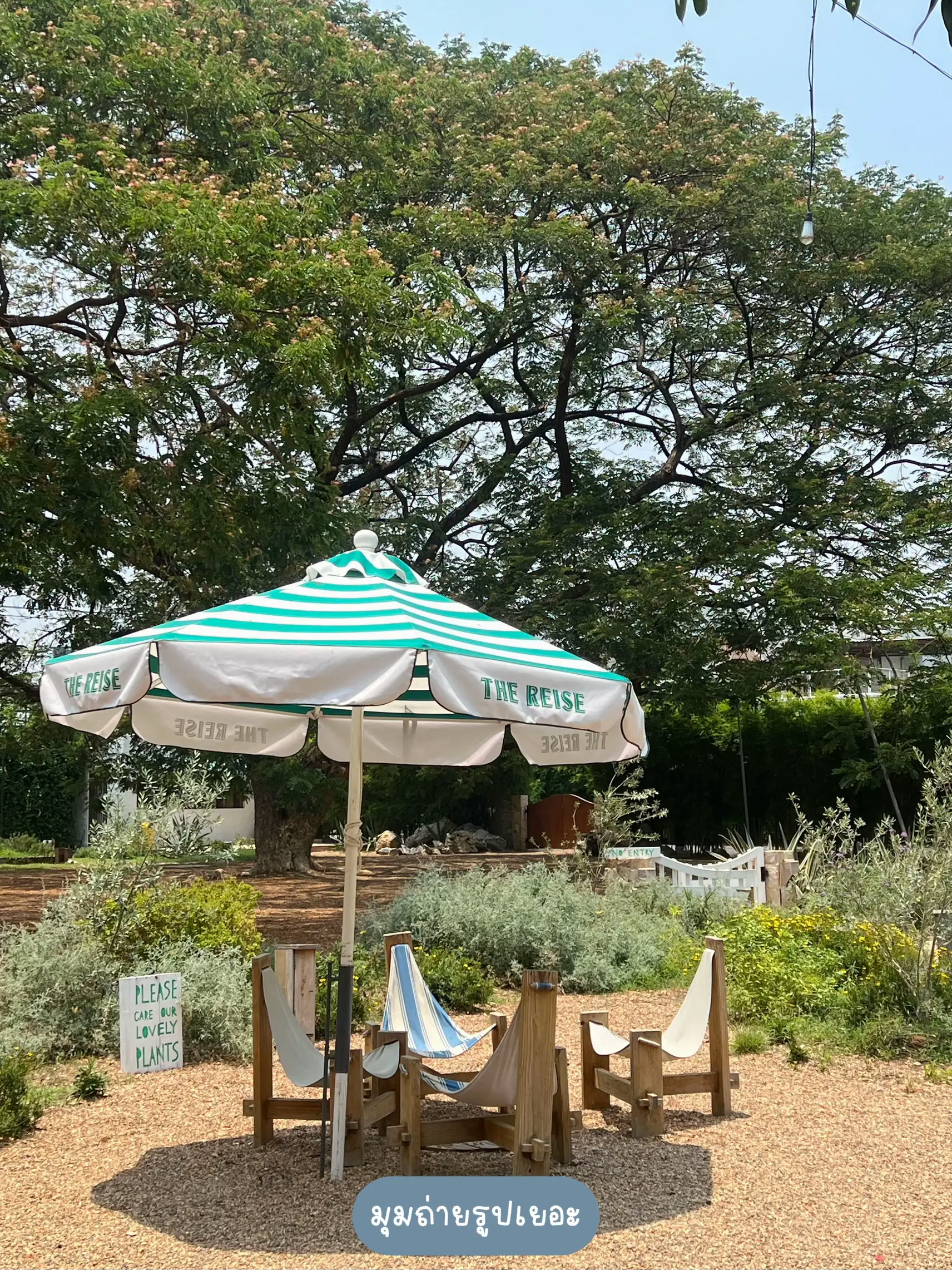 The reise ร้านอาหารอิตาเลียน น่ารักมาก 🍋⛱️ | แกลเลอรีที่โพสต์โดย mameaw ...