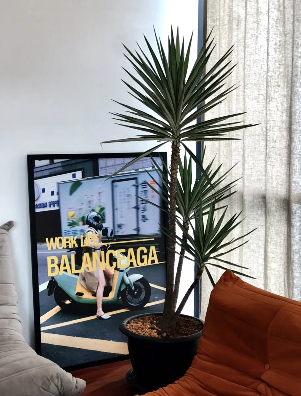 ☕️BLB Brooklyn Bit*h คาเฟ่ฟีล | แกลเลอรีที่โพสต์โดย Yi Yu | Lemon8