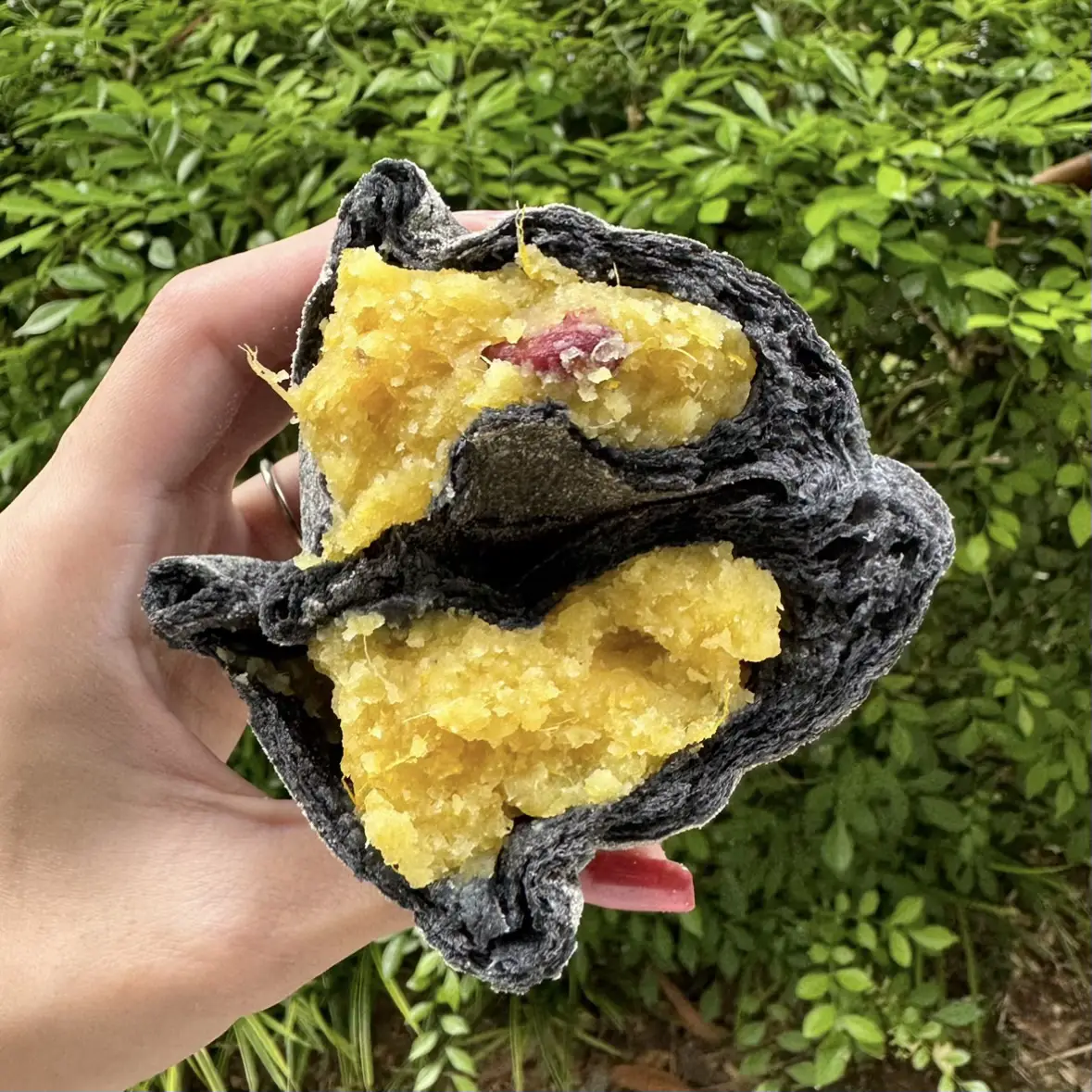 Must go JB Bakery : Verbena Patisserie Shop | Gallery posted by Michael Ng | Lemon8