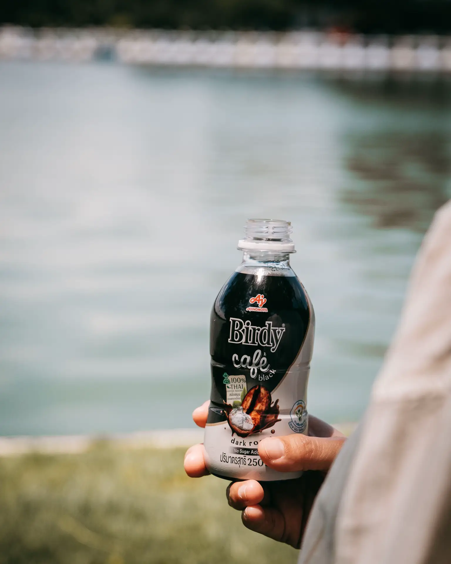 Birdy Café เมล็ดกาแฟโรบัสต้า คุณภาพจากเกษตรกรไทย 100% | แกลเลอรีที่ ...