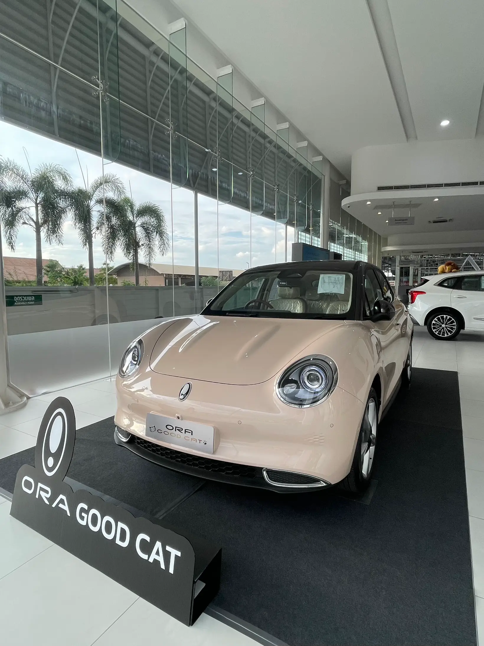 ORA Good Catช่วยผ่อน 10,000 x 6 เดือน | แกลเลอรีที่โพสต์โดย Gift Kawin ...