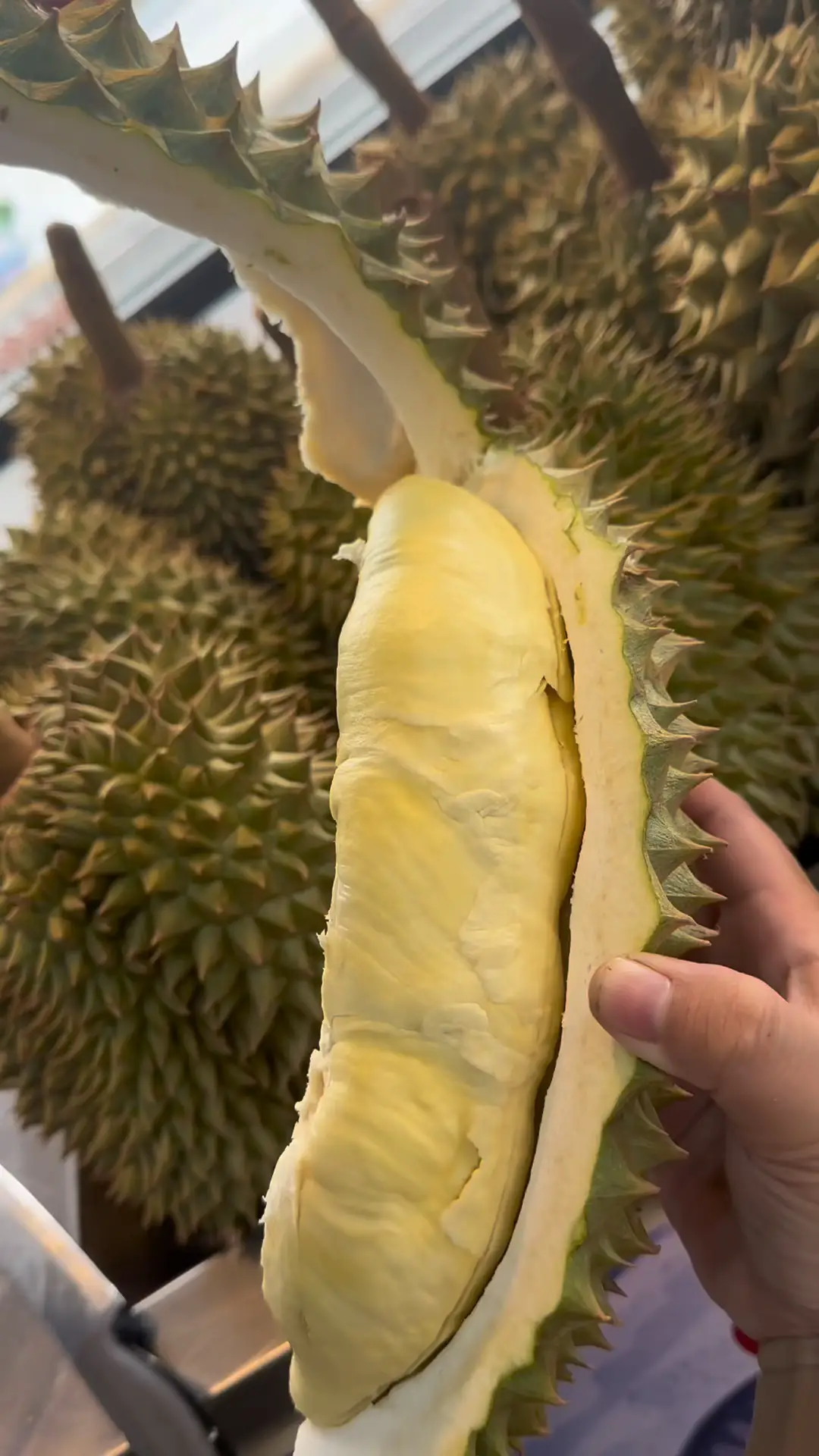 ฤดูกาลทุเรียนภูเขาไฟศรีสะเกษ🌋 | วิดีโอที่เผยแพร่โดย Chita. | Lemon8