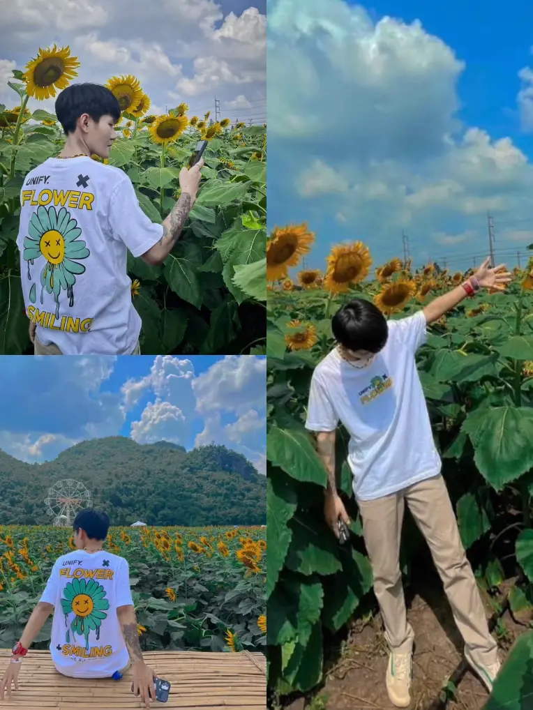 The village farm to cafe ดอกทุ่งทานตะวัน | แกลเลอรีที่โพสต์โดย Bow Kie | Lemon8