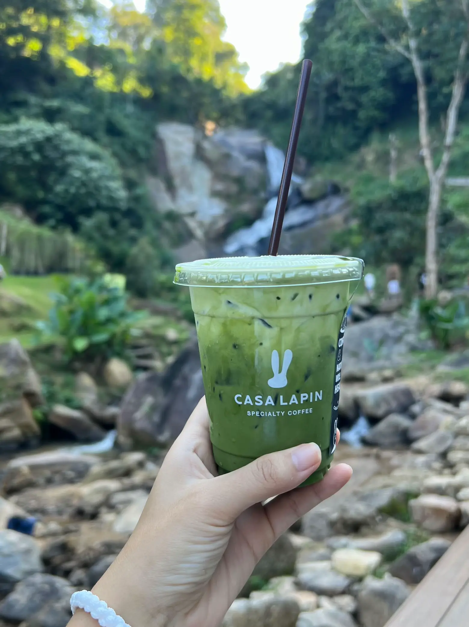 Wtf Coffee Camp 🏕️ เจียงใหม่ 🇹🇭 | แกลเลอรีที่โพสต์โดย alittledayyy | Lemon8