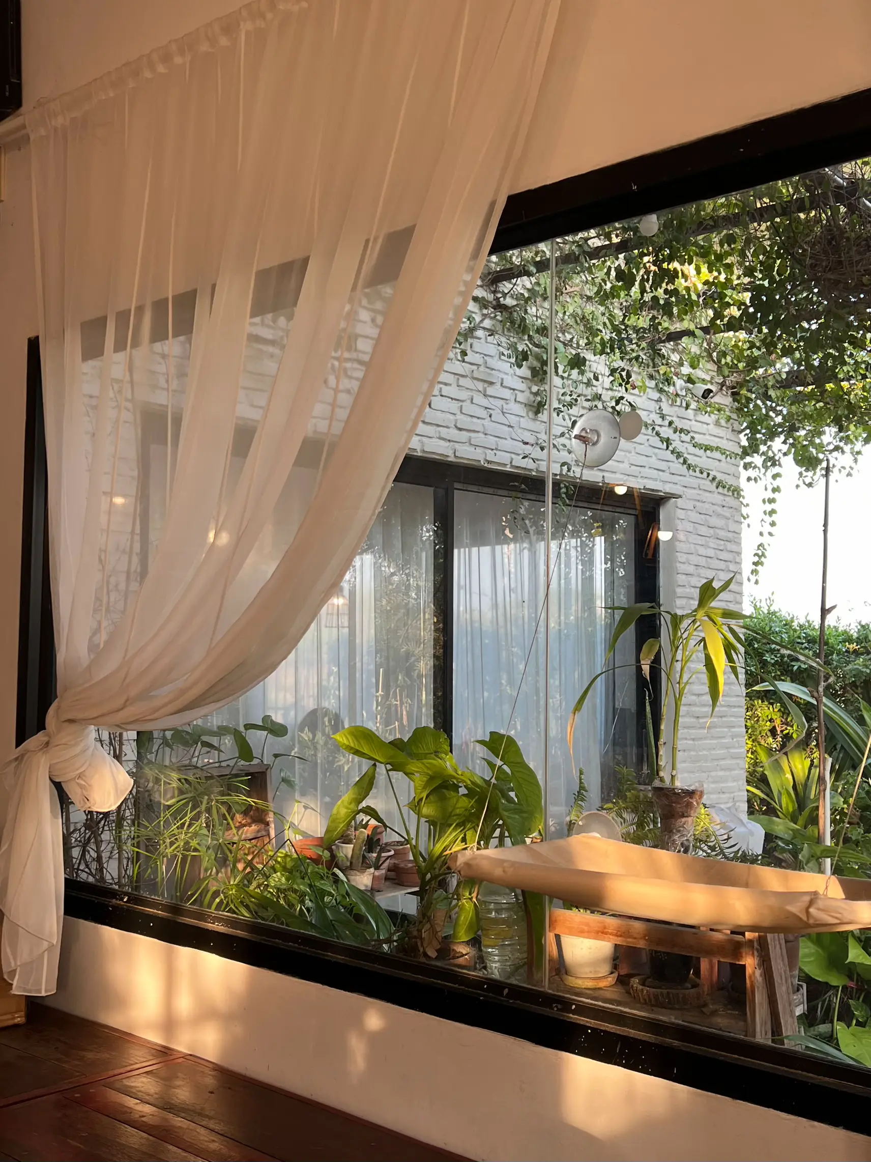 Cafe in the garden 🏡 | แกลเลอรีที่โพสต์โดย Jakwa🦒 | Lemon8