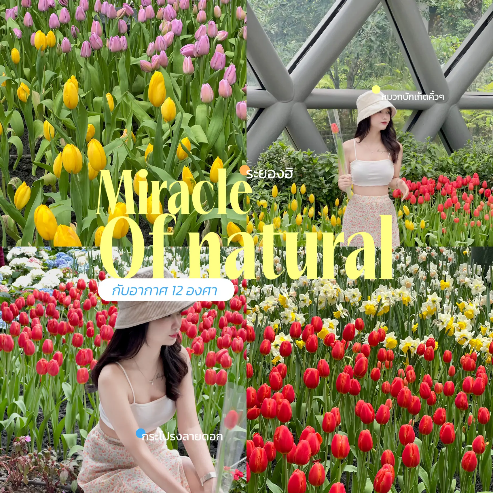 Of natural | แกลเลอรีที่โพสต์โดย Siriyakorn Aoom | Lemon8