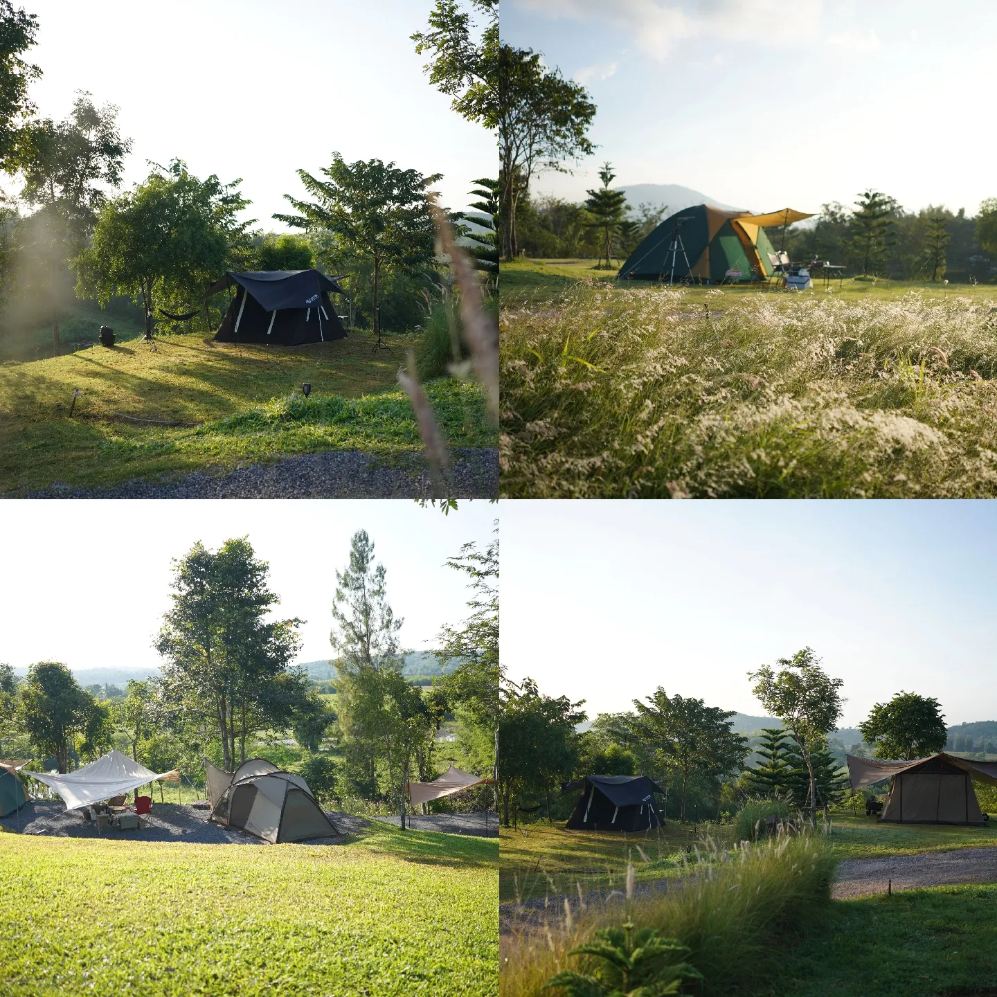 Route3060 - การค้นหาใน Lemon8