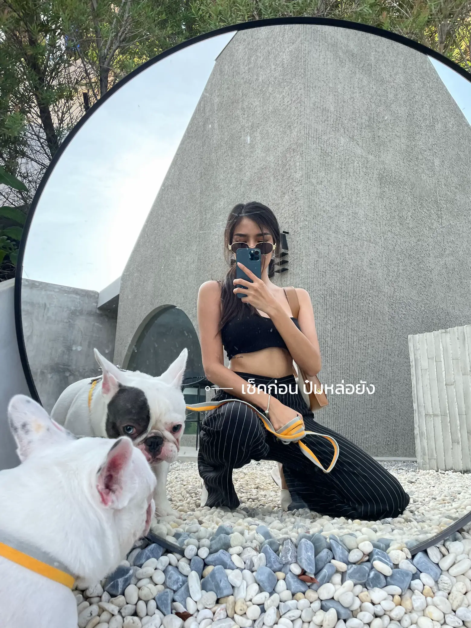 IN MY ELEMENT Cafe Pet Friendly100% หมาเข้าโซนแอร์ได้ | แกลเลอรีที่ ...