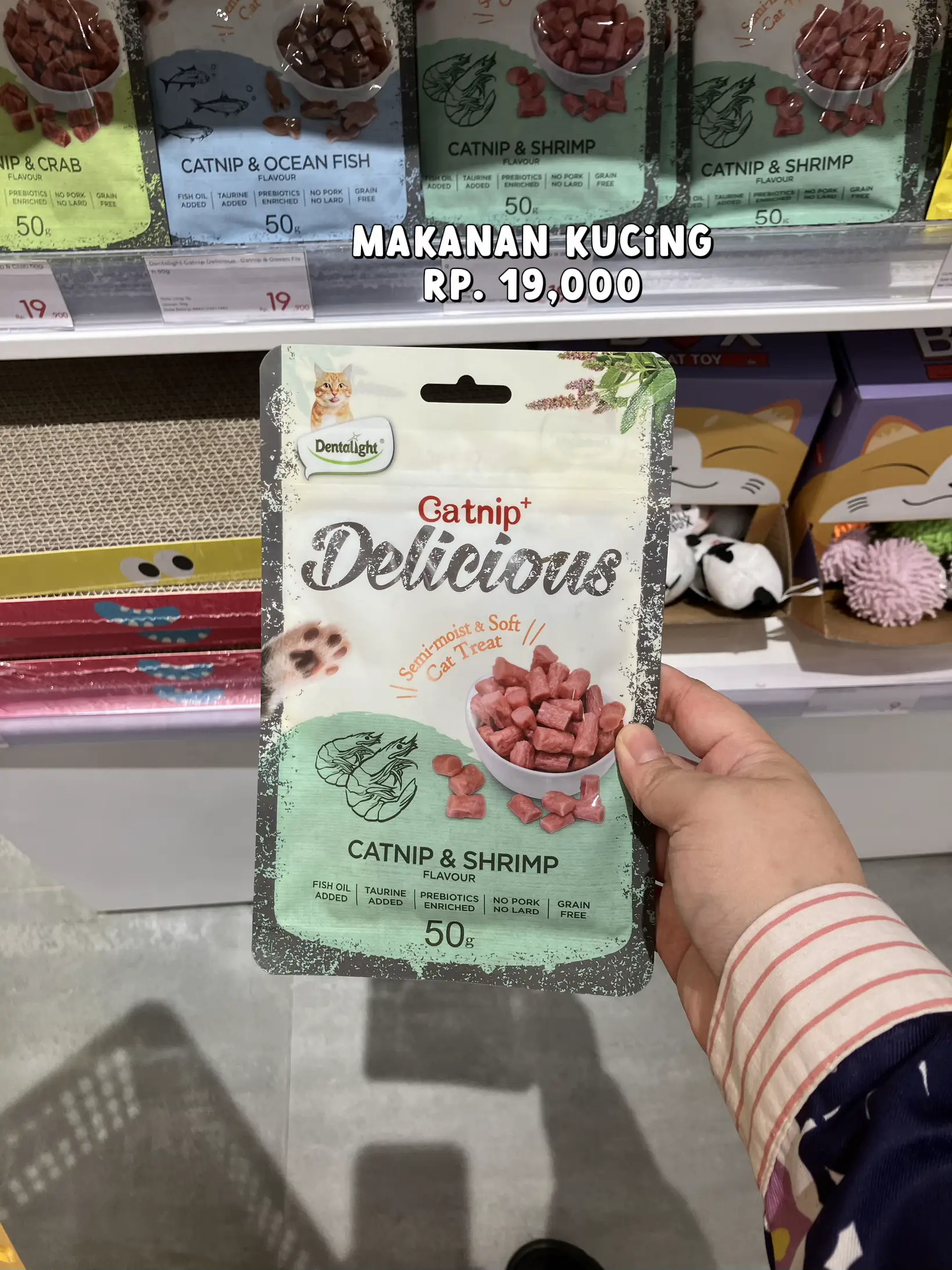REKOMENDASI PERLENGKAPAN KUCING DI OH! SOME / KKV | Galeri diposting ...