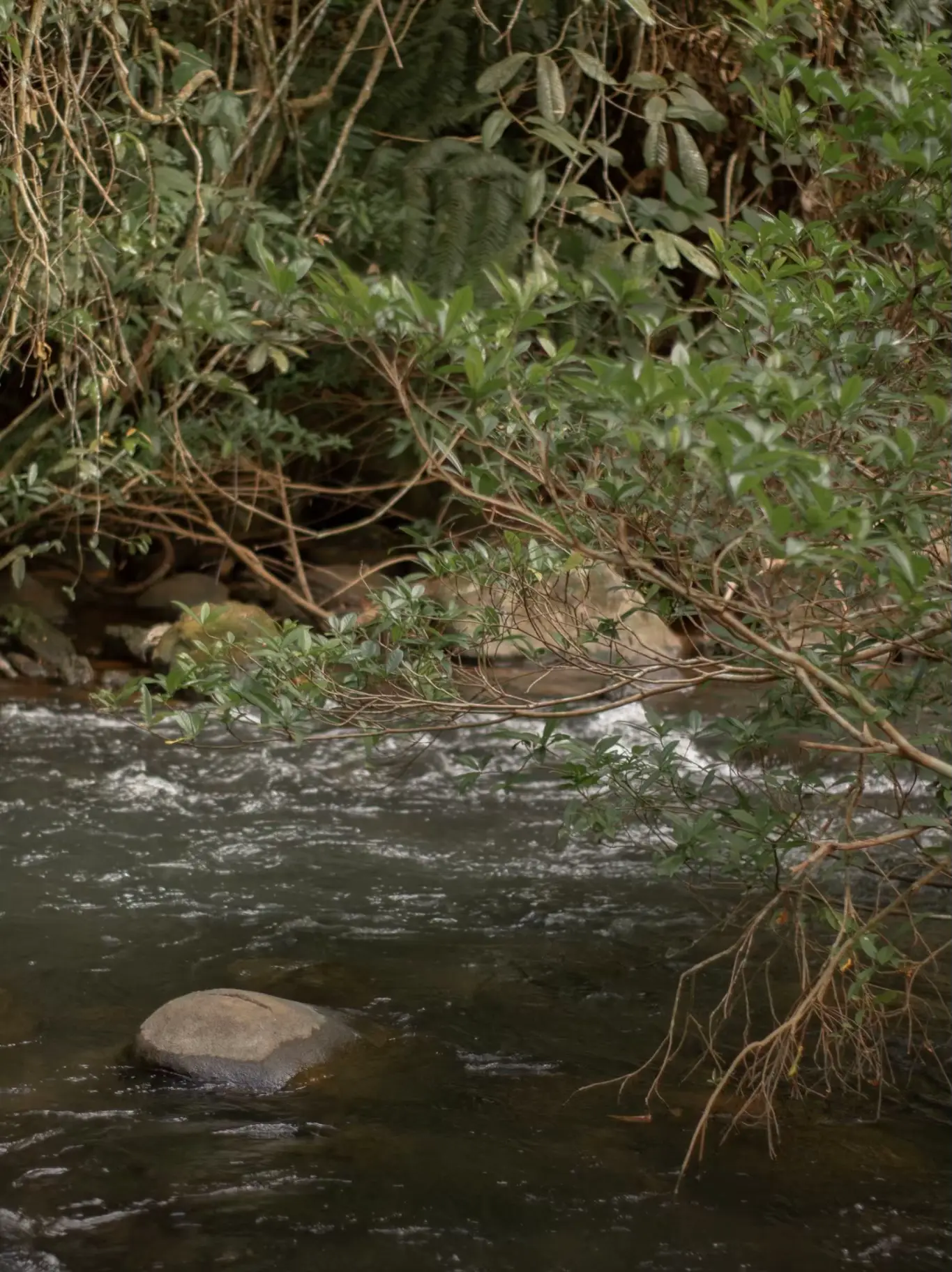 Dé Lüèb ลาวใต้ 🇱🇦 | แกลเลอรีที่โพสต์โดย Planme.aa | Lemon8