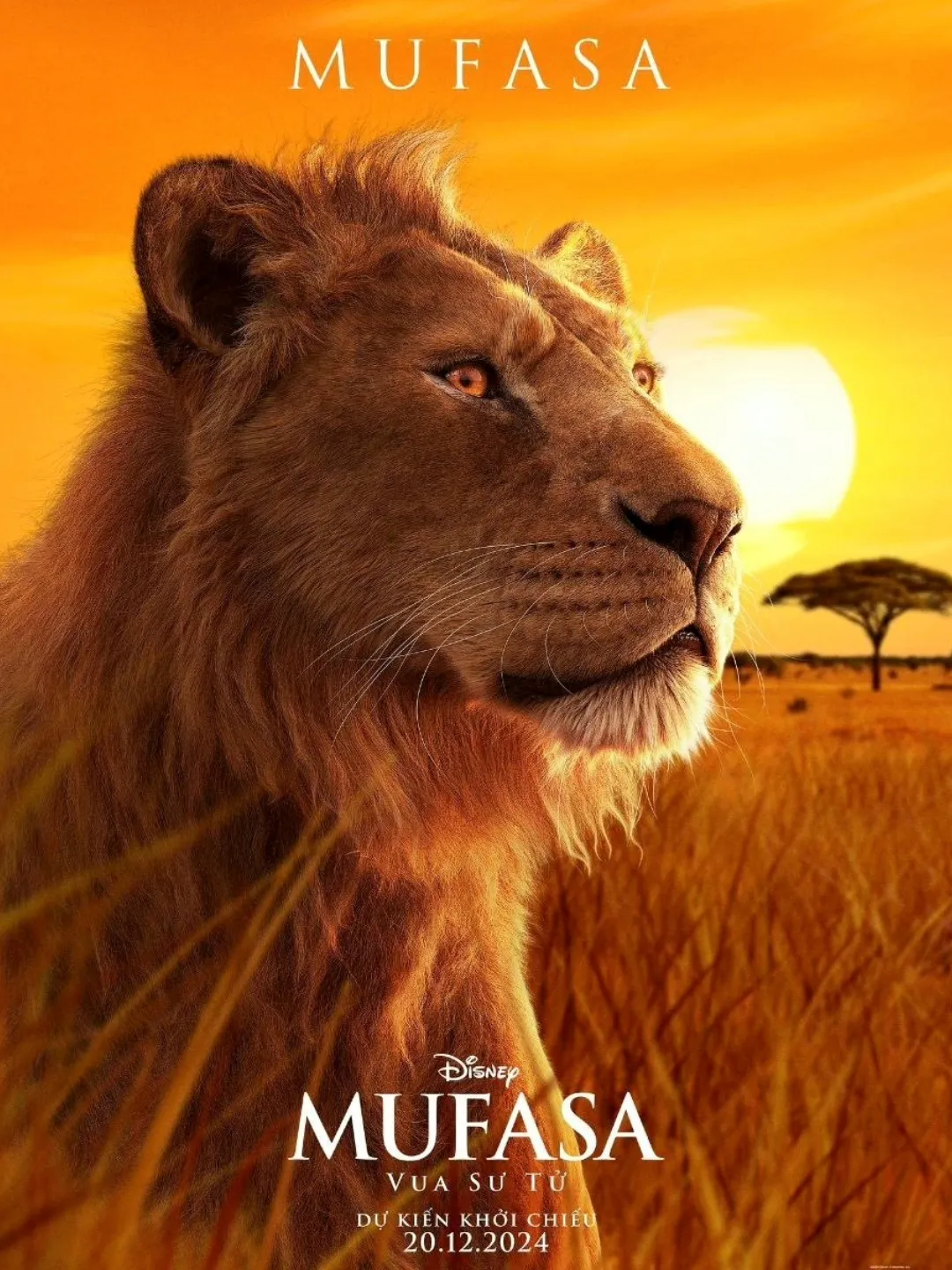 โปสเตอร์ใหม่จาก Mufasa: The Lion King MUFASA🦁 | แกลเลอรีที่โพสต์โดย ...