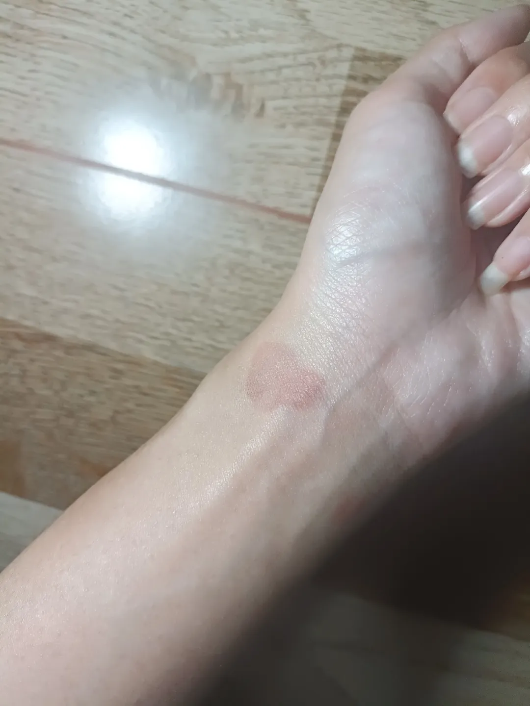 DINTO 260 Imperator | แกลเลอรีที่โพสต์โดย Pmpk 7 | Lemon8